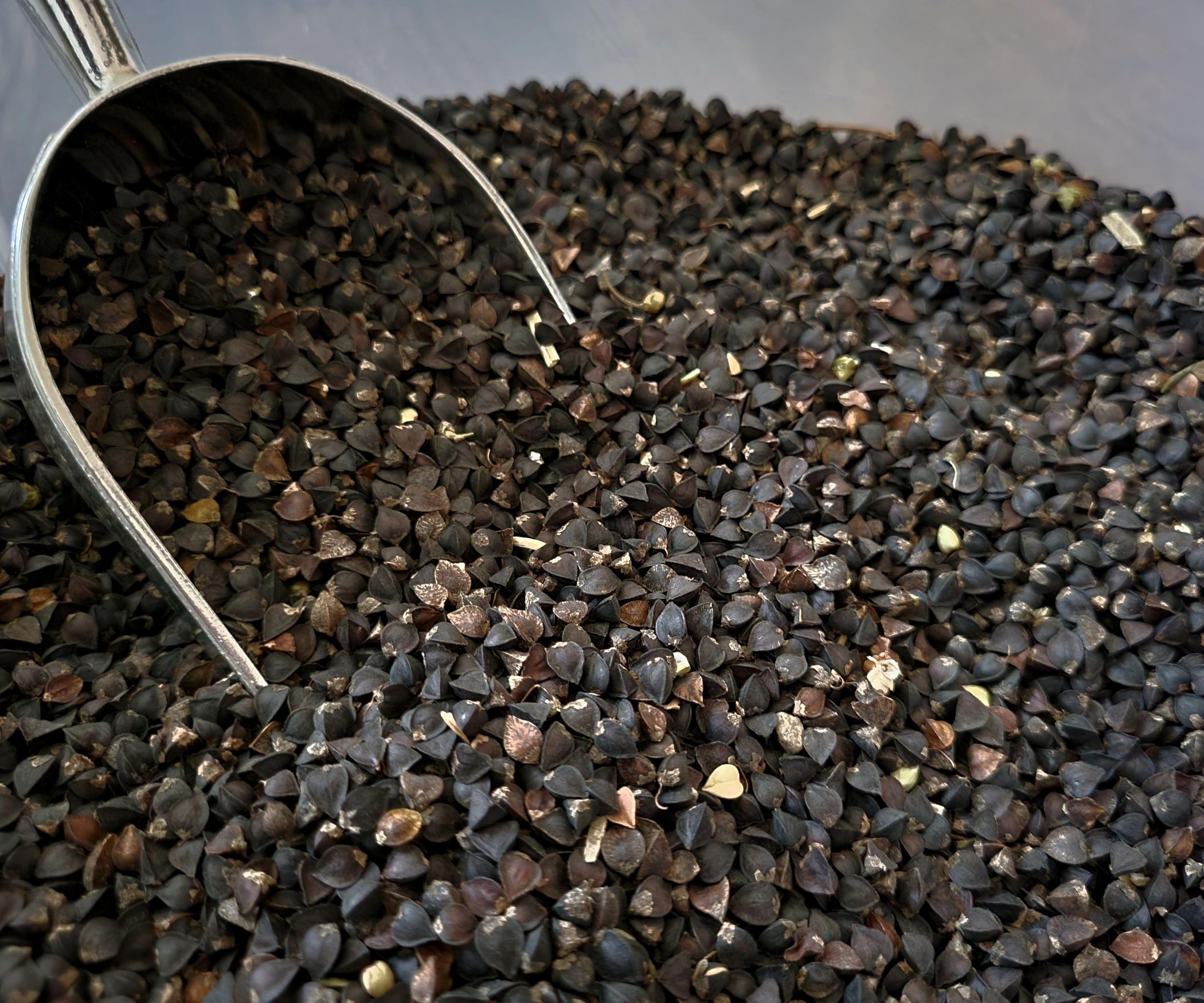 How to Make Gluten-Free Buckwheat Flour : 3 Steps (with Pictures ...