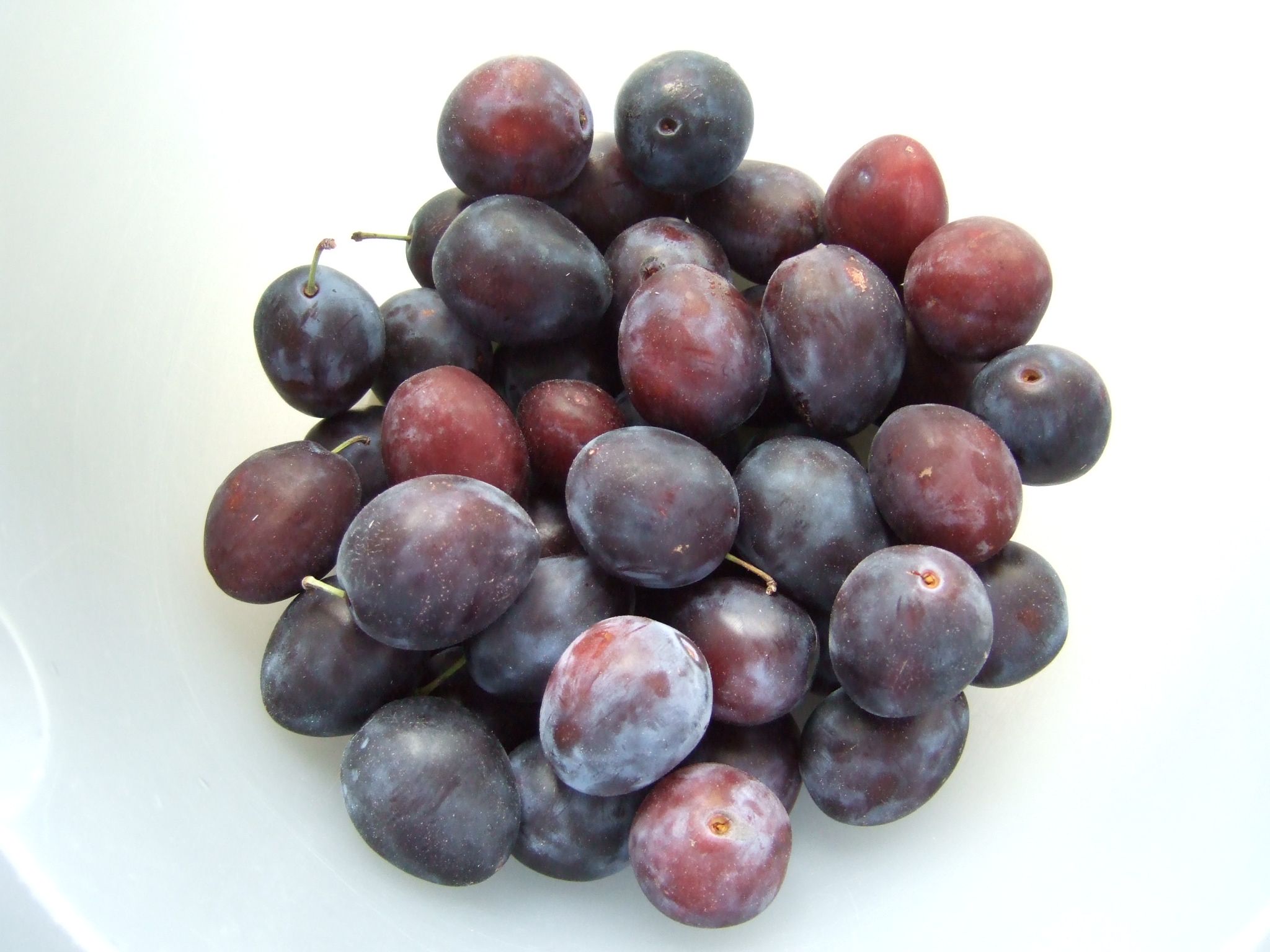 Damson Tart (Zwetschgendatschi) : 5 Steps (with Pictures) - Instructables