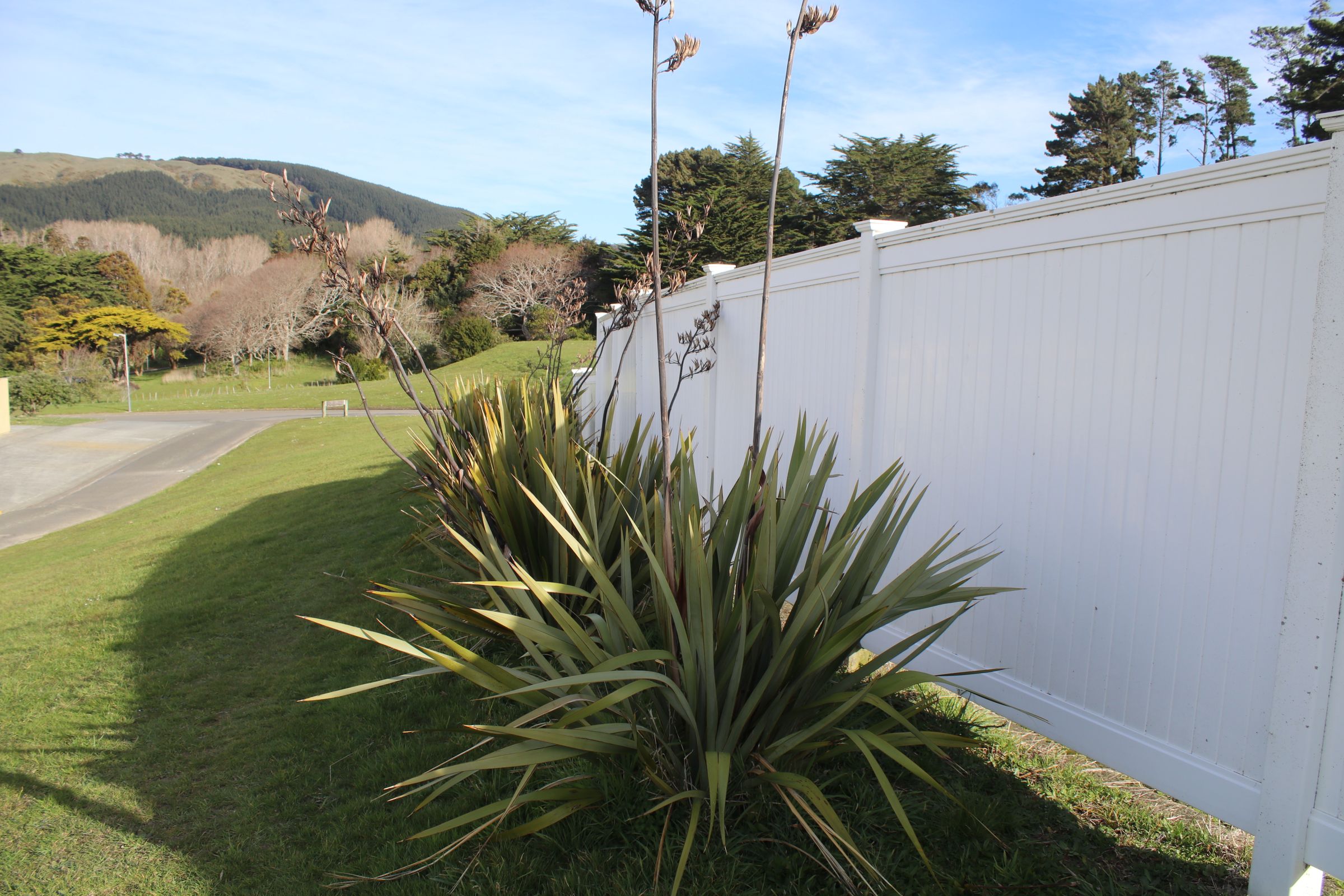 How to Carve a Flax Boat : 10 Steps (with Pictures) - Instructables