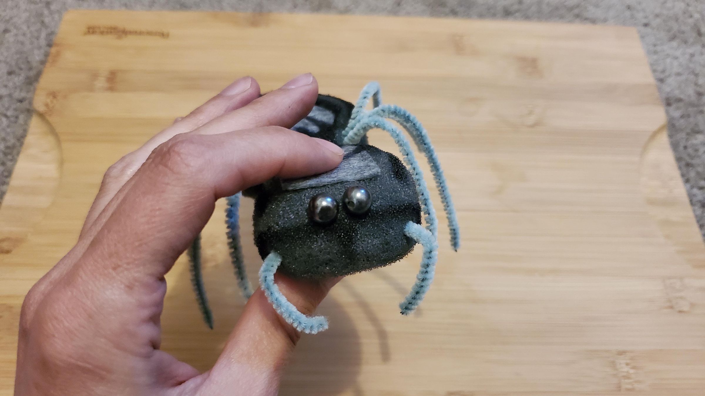 Jumping Spider : 9 Steps (with Pictures) - Instructables