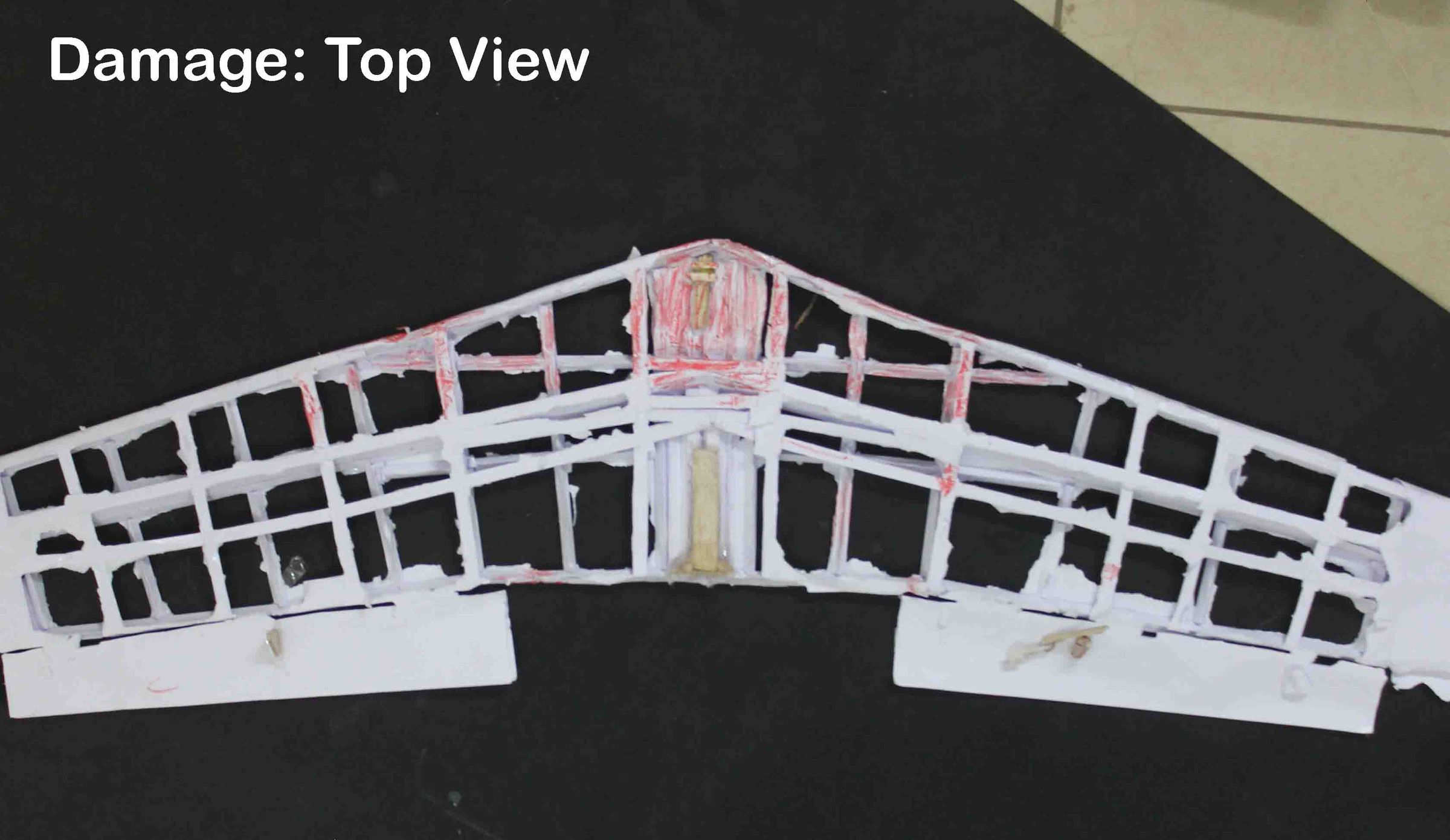 Completely Paper Made RC Airplane : 11 Steps - Instructables