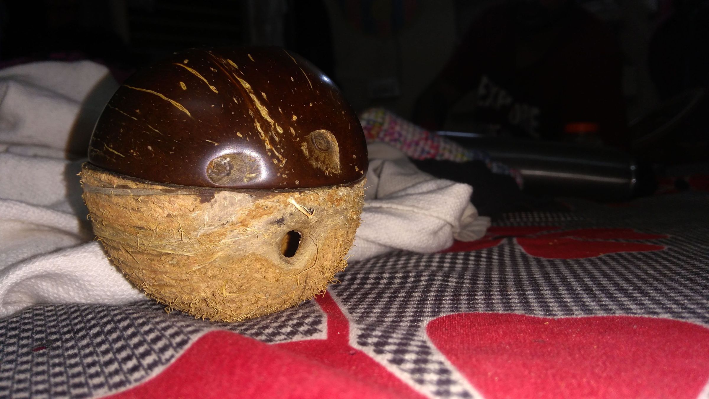 Making a Coconut Bowl (Super Easy Way) : 8 Steps (with Pictures ...