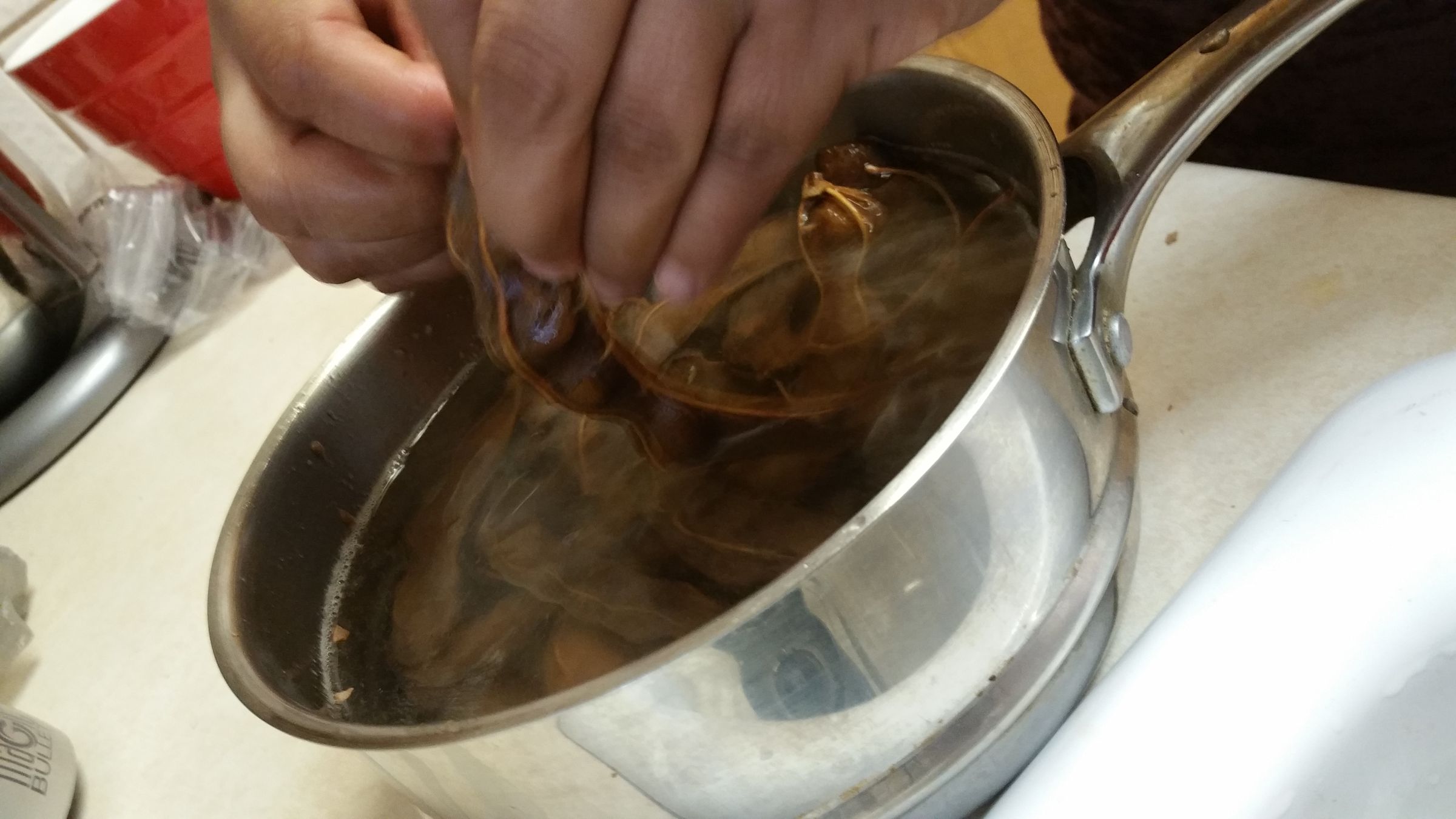 Tamarind Water (Agua Fresca) : 4 Steps (with Pictures) - Instructables