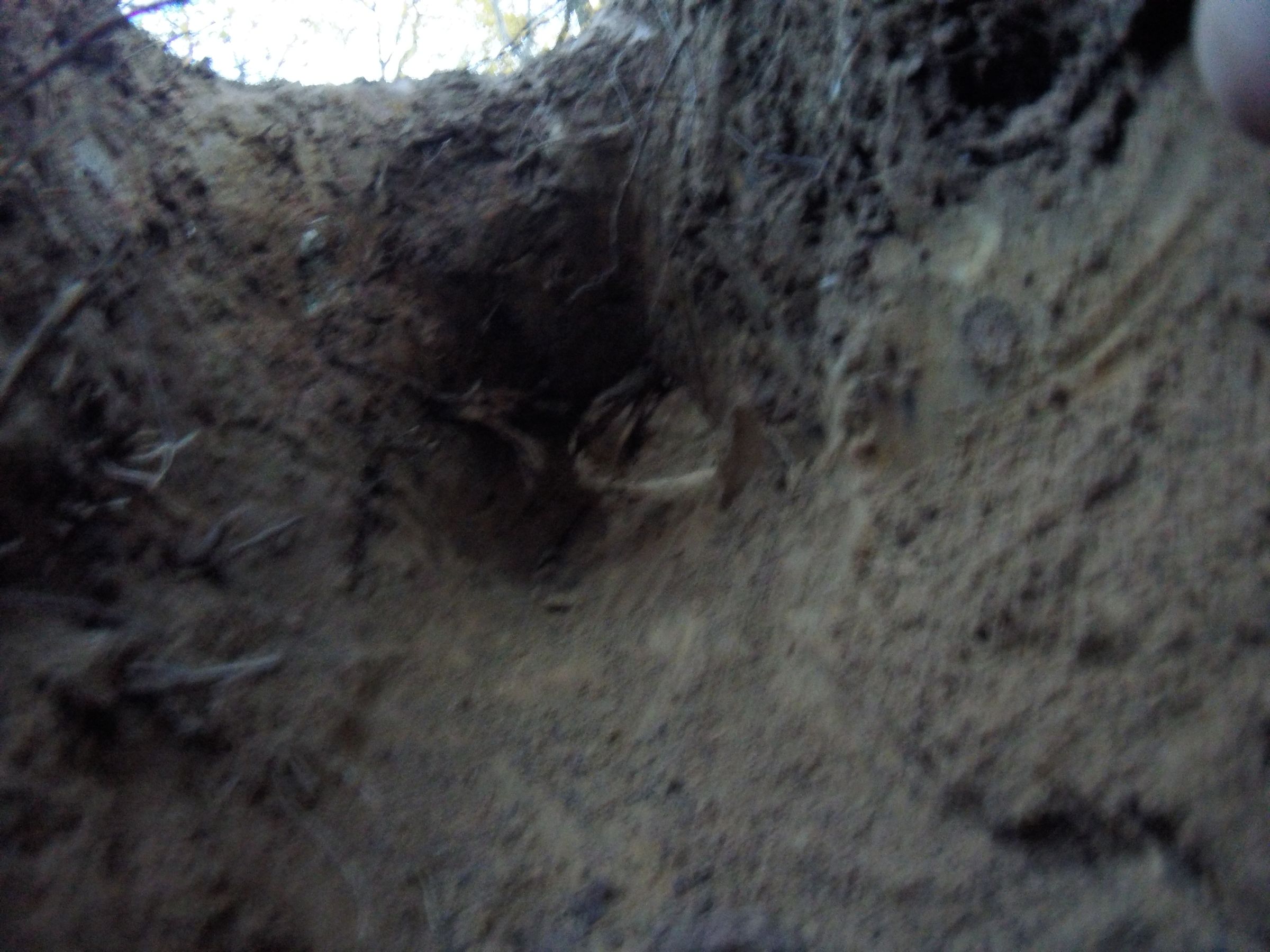 Dakota Fire Hole : 6 Steps (with Pictures) - Instructables
