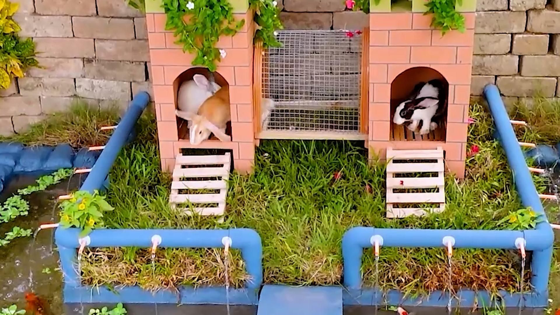 Creating a Bunny Shelter and Fish Pond With Natural Elements - Our ...