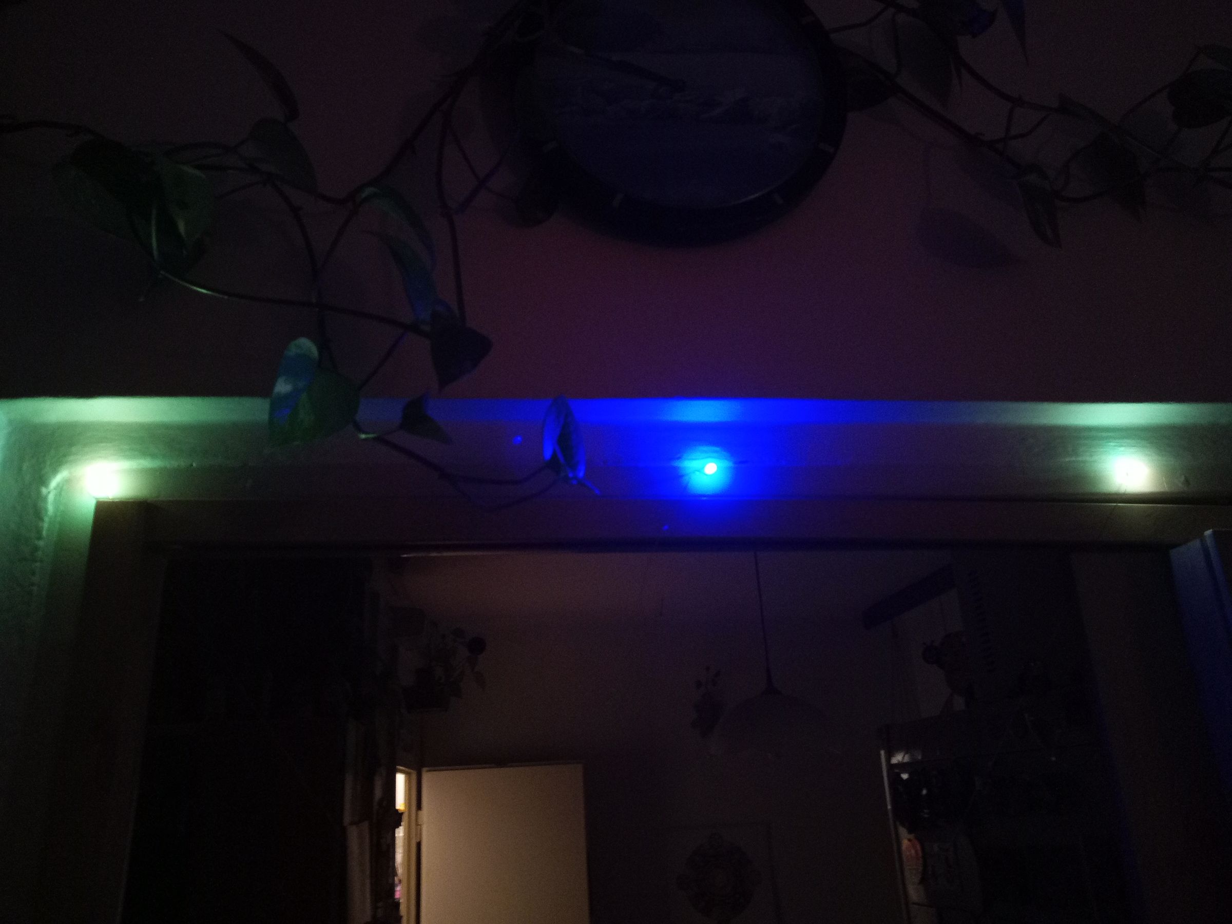 Rainbow LEDs for Your Projects : 4 Steps (with Pictures) - Instructables