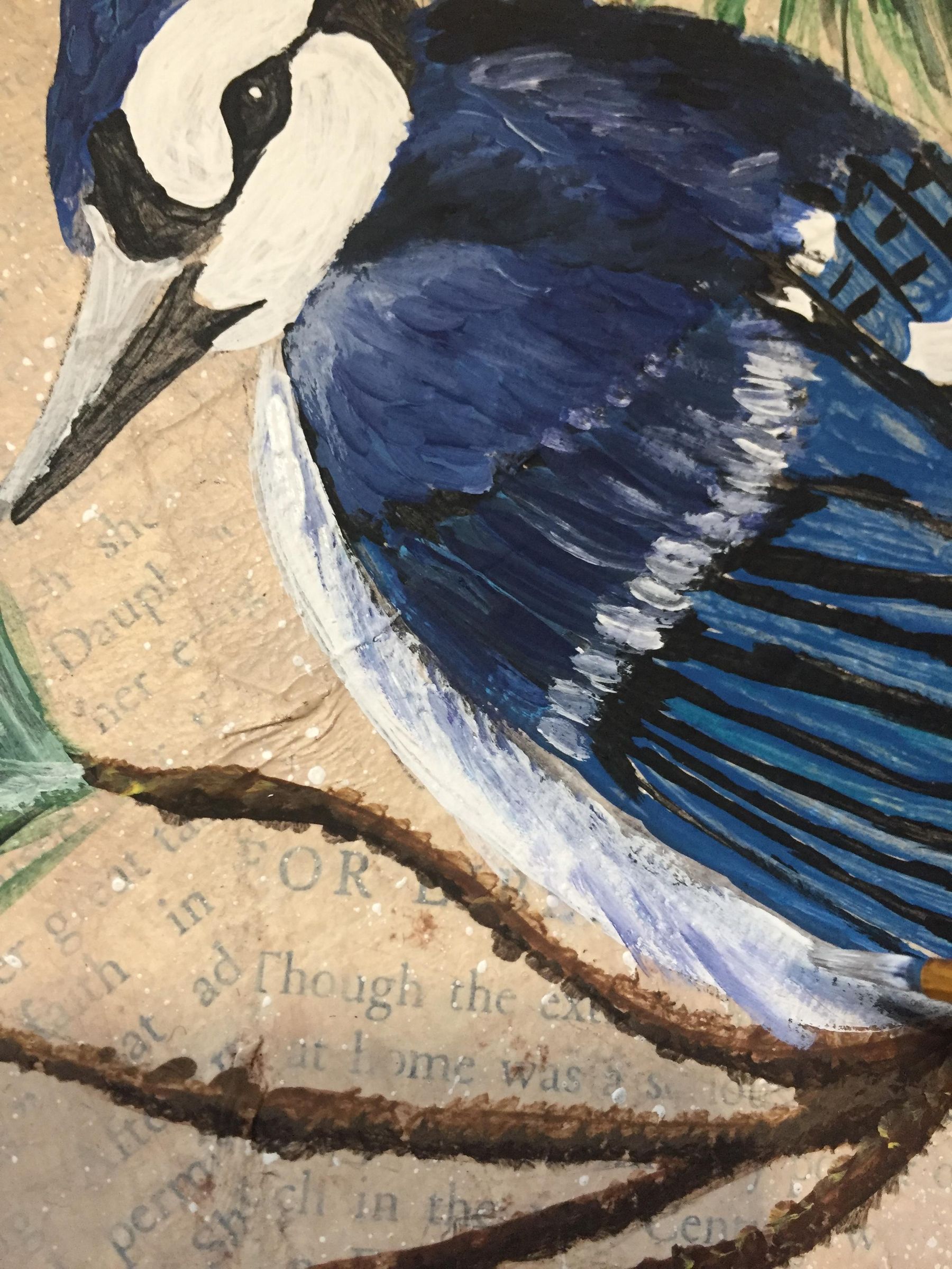 How to Paint a Blue Jay on a Branch. : 13 Steps (with Pictures ...