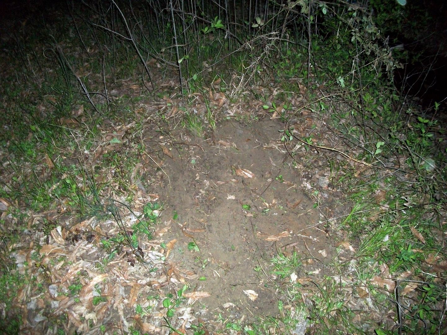 Dirt Cheap Forge : 12 Steps (with Pictures) - Instructables