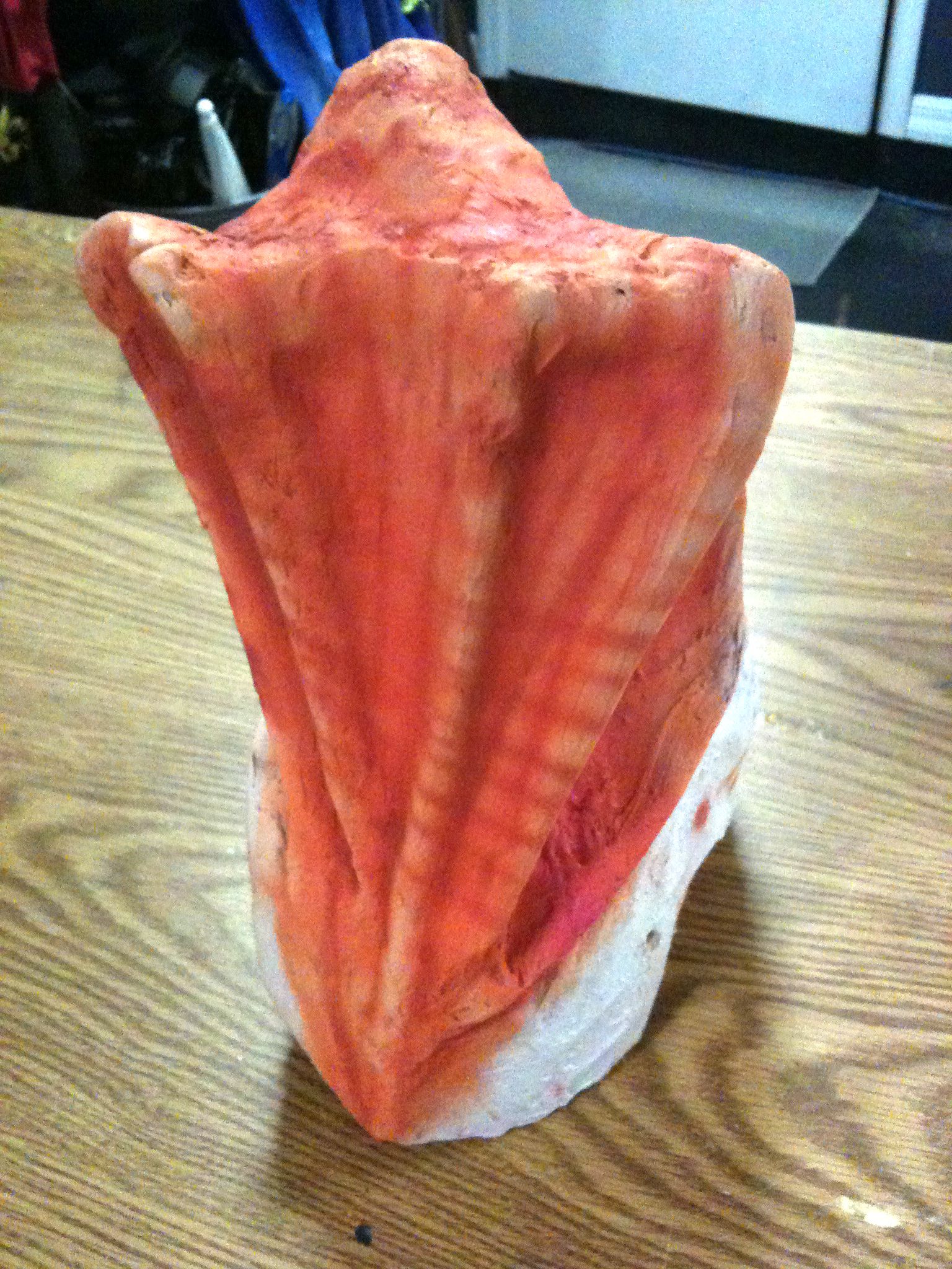 Under the Sea (seashell Costume/head Piece) - Instructables