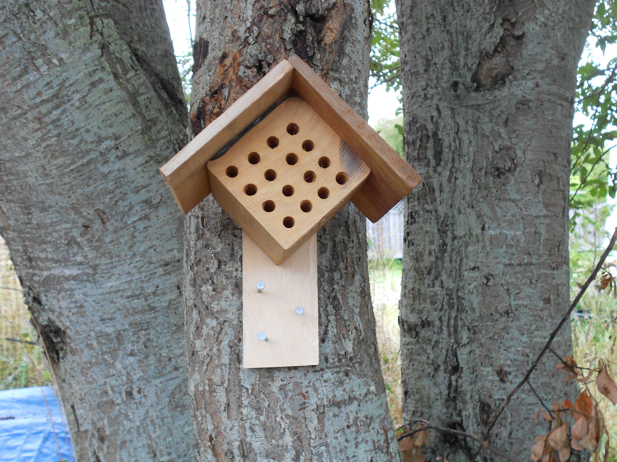 Make Your Own Little Bee Houses : 8 Steps (with Pictures) - Instructables