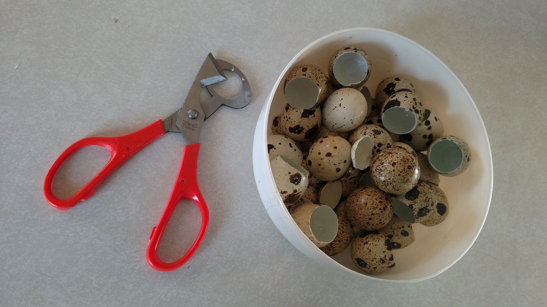 Quail Egg Quiche : 7 Steps (with Pictures) - Instructables