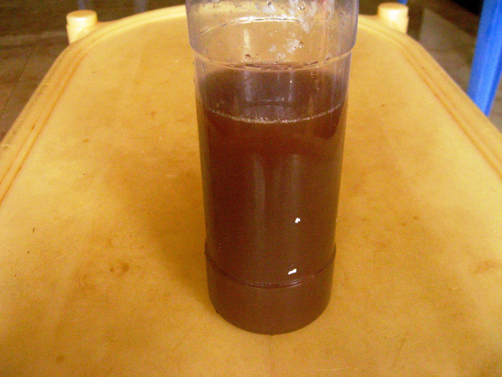 Home-made Organic Ant Repellent : 6 Steps - Instructables