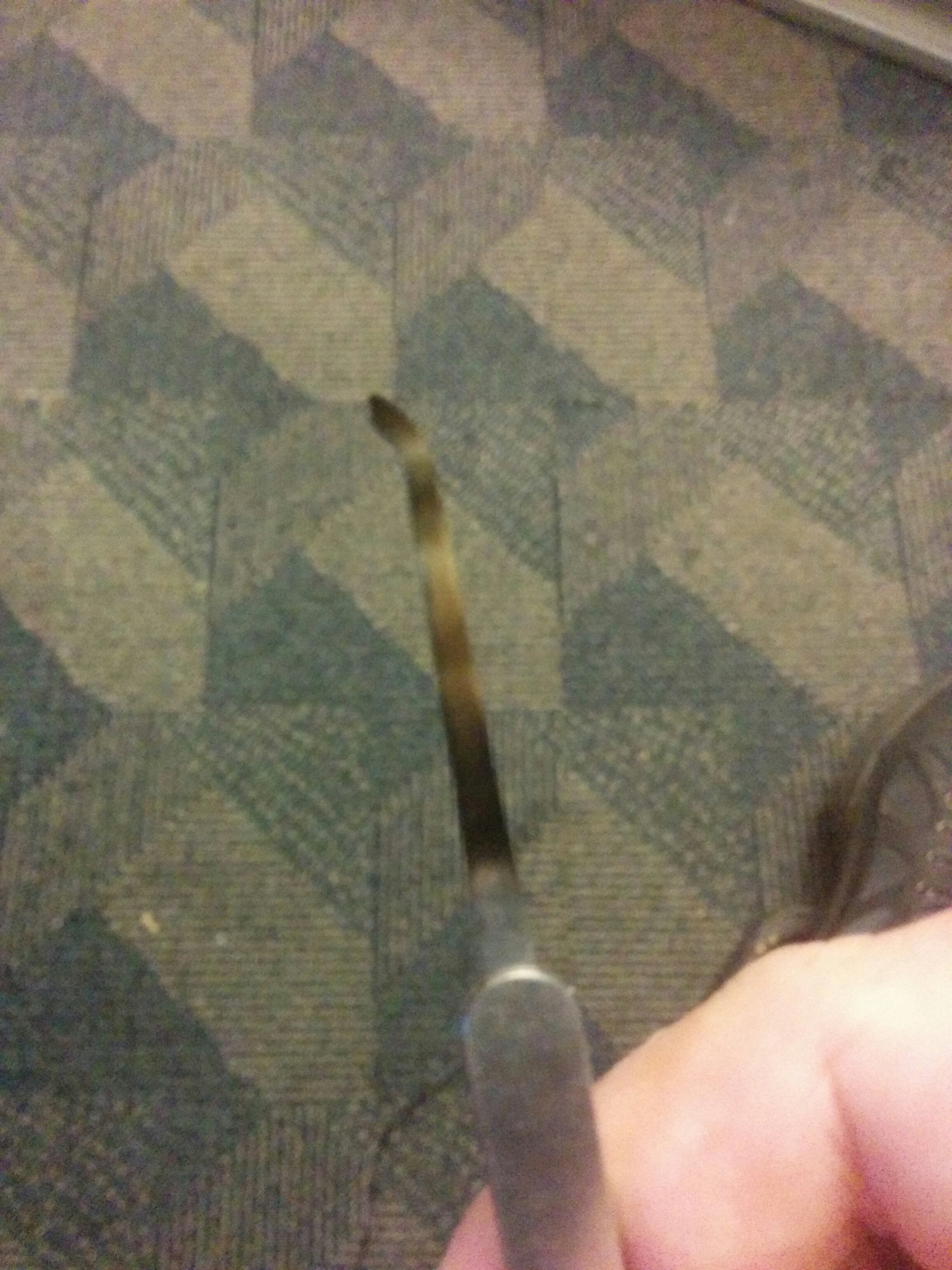 Keychain Folding Lockpick (now Updated With Tension Wrench) : 5 Steps ...