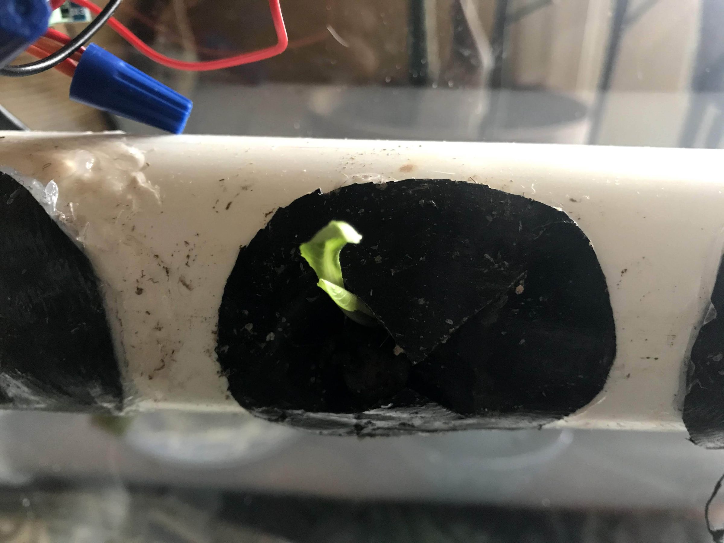 Hydroponic Grow Box : 6 Steps (with Pictures) - Instructables