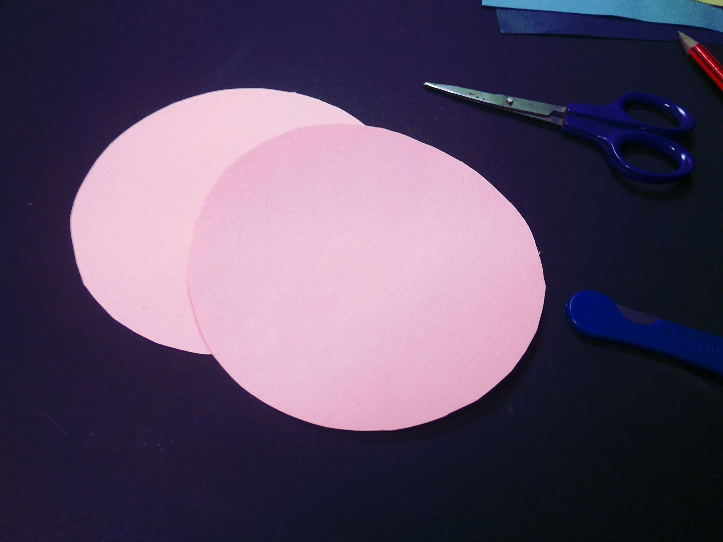 DIY Camera Film Photo Album : 5 Steps (with Pictures) - Instructables