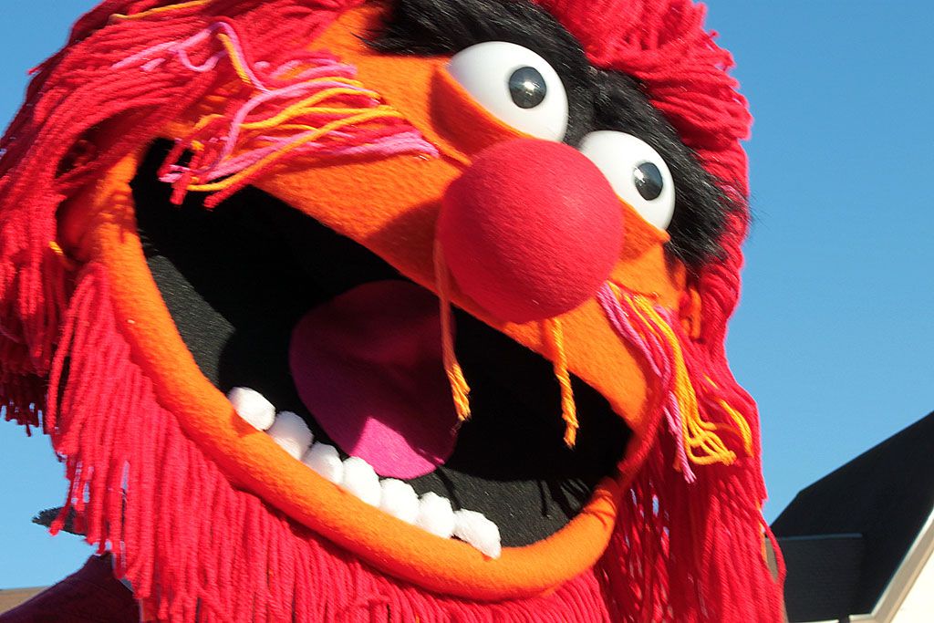 Animal Muppets Face