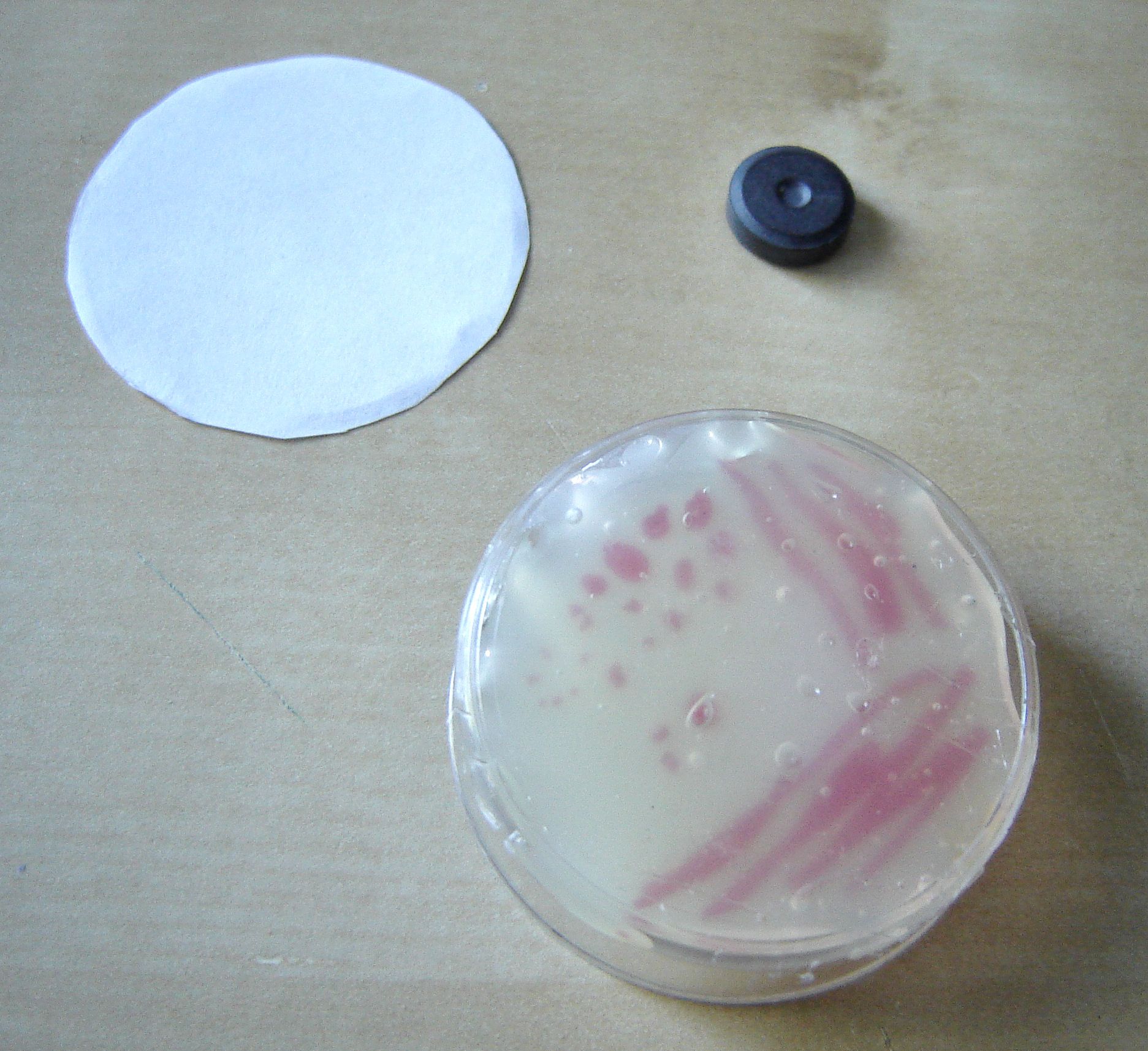 Geeky Fridge Magnets : 6 Steps (with Pictures) - Instructables