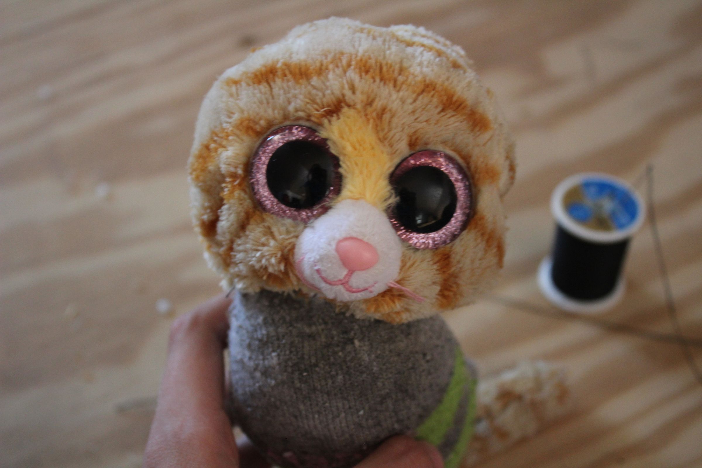 How to Make a Franken-Kitty : 4 Steps (with Pictures) - Instructables