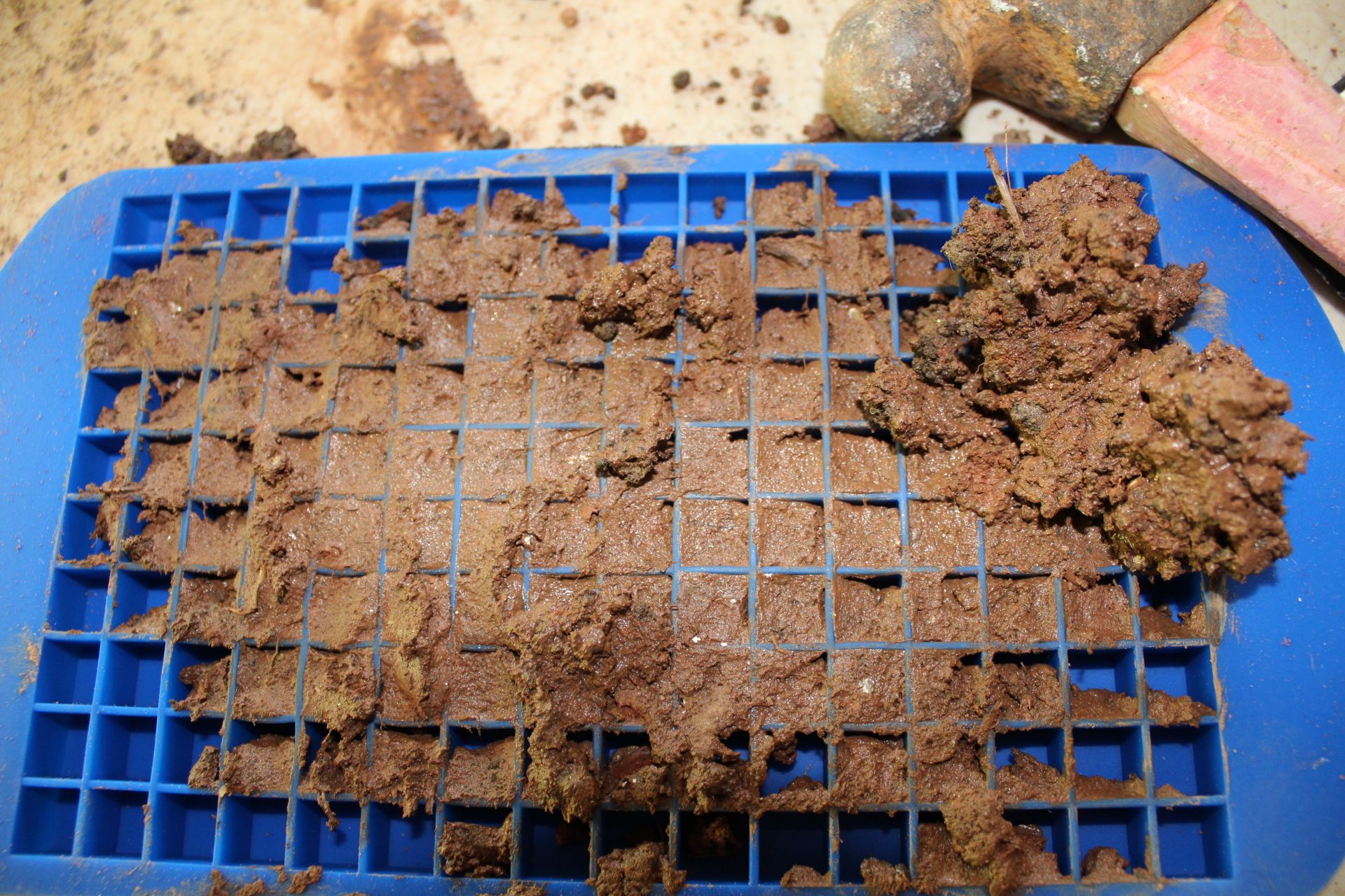 Homemade Pelleted Seeds : 8 Steps (with Pictures) - Instructables