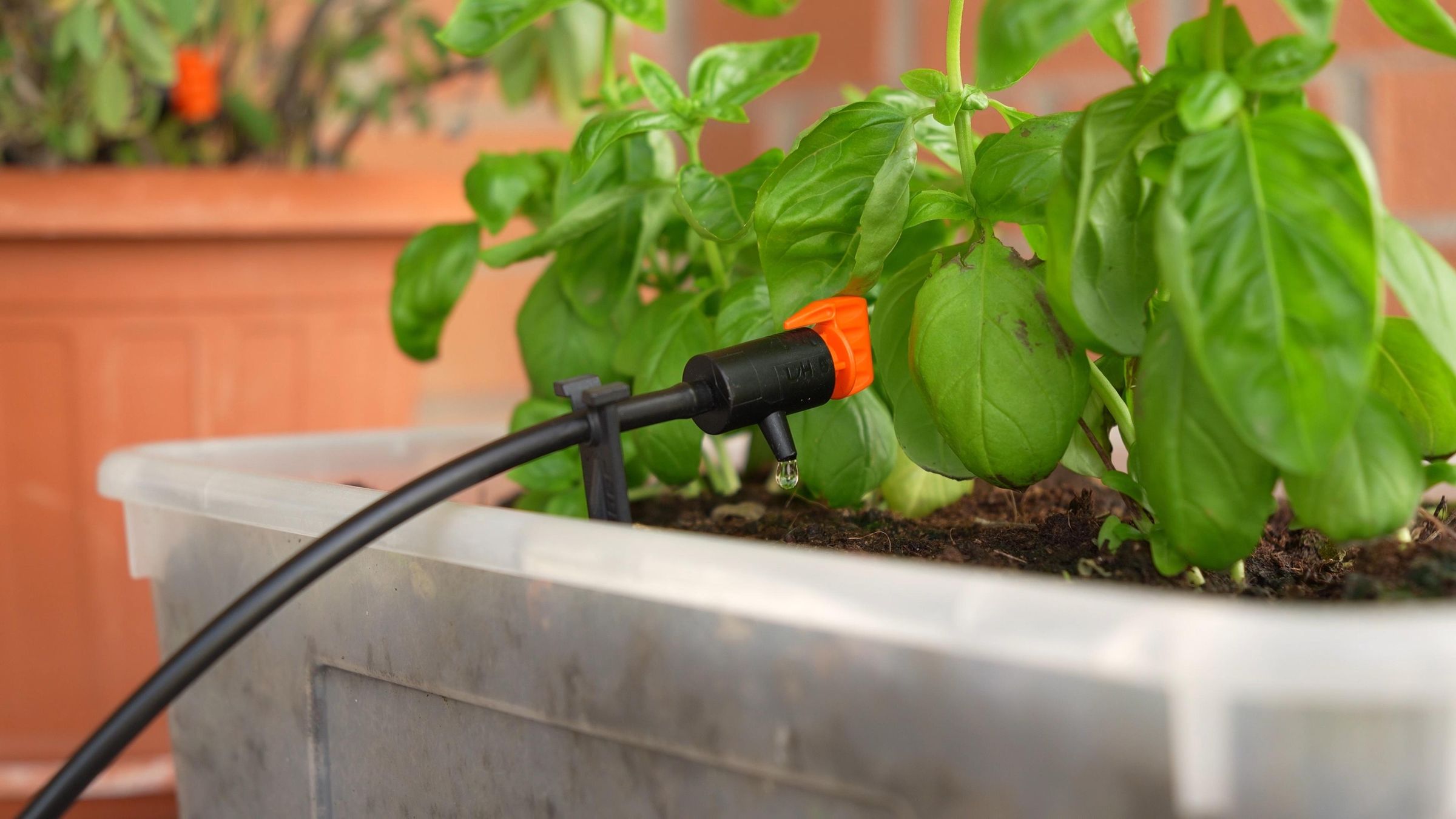 ESP32 Irrigation System With Water Reservoir : 10 Steps (with Pictures ...