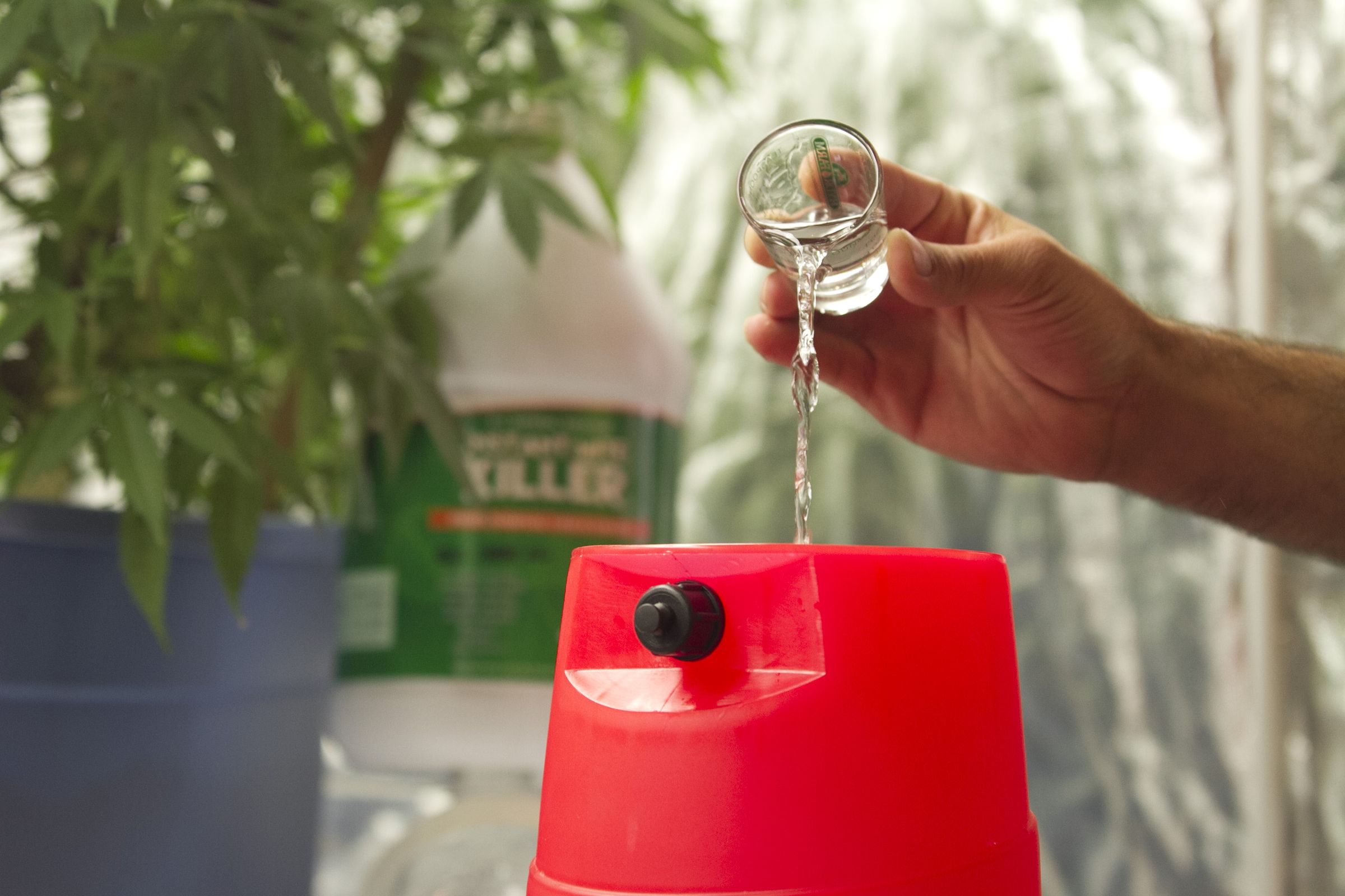 Killing Spider Mites : 7 Steps (with Pictures) - Instructables