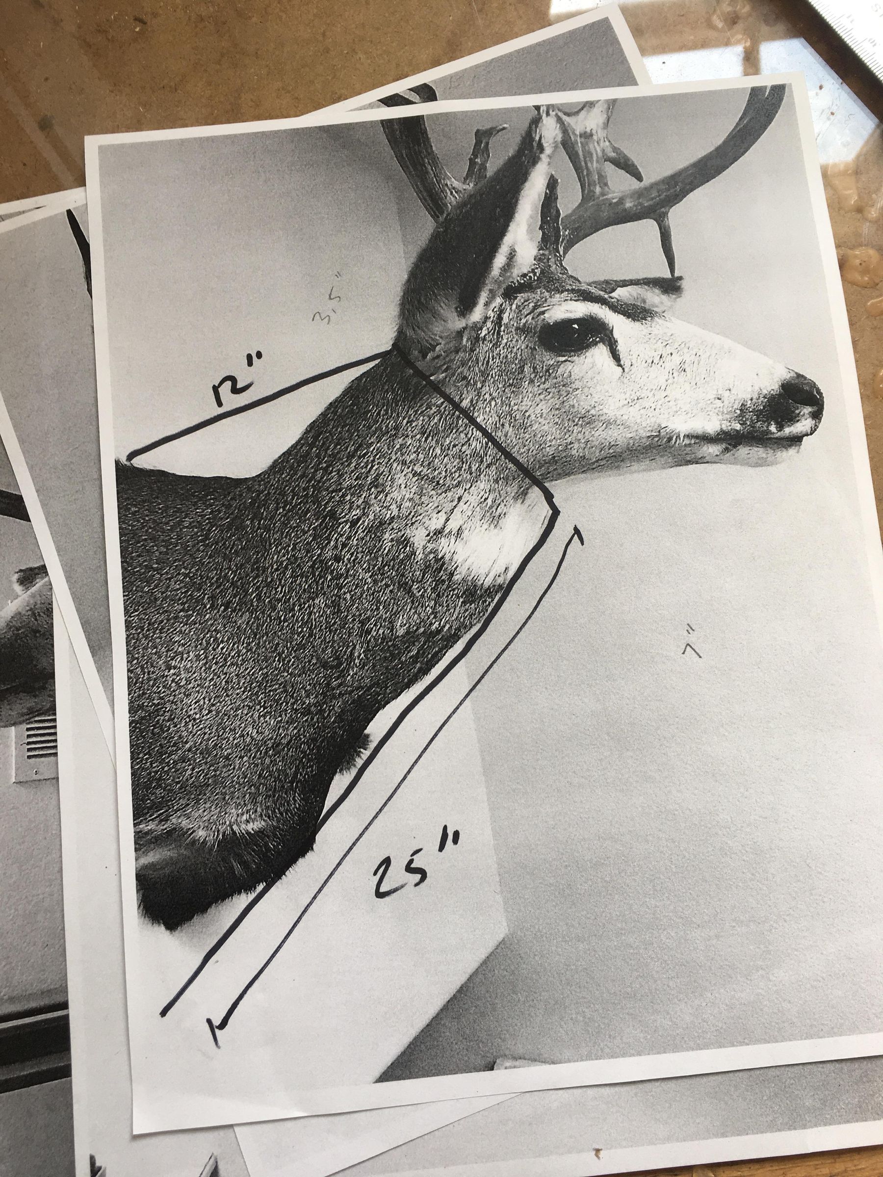Wooden Deer Head : 11 Steps (with Pictures) - Instructables