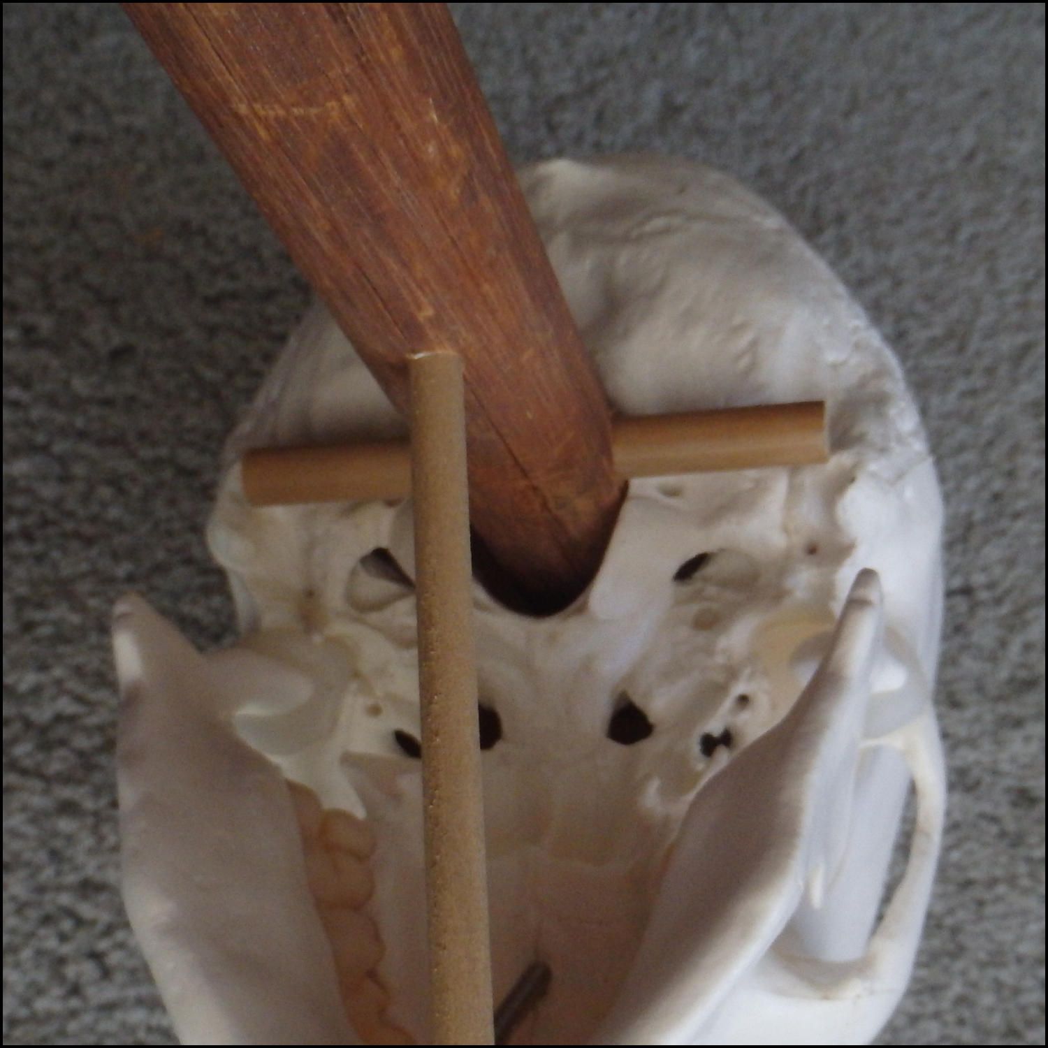 SKULL STAND(S) FOR BUDDING ARTISTS : 7 Steps (with Pictures ...