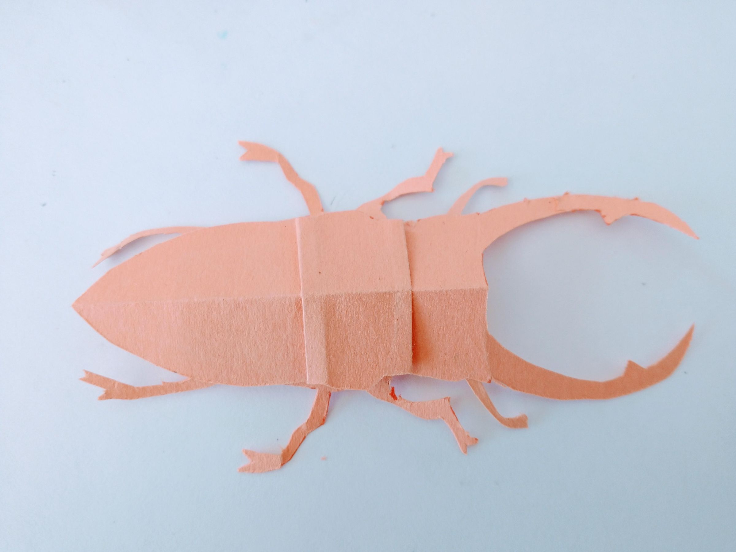 Kirigami Insects: Rhinoceros Beetle and Stag Beetle : 7 Steps (with ...