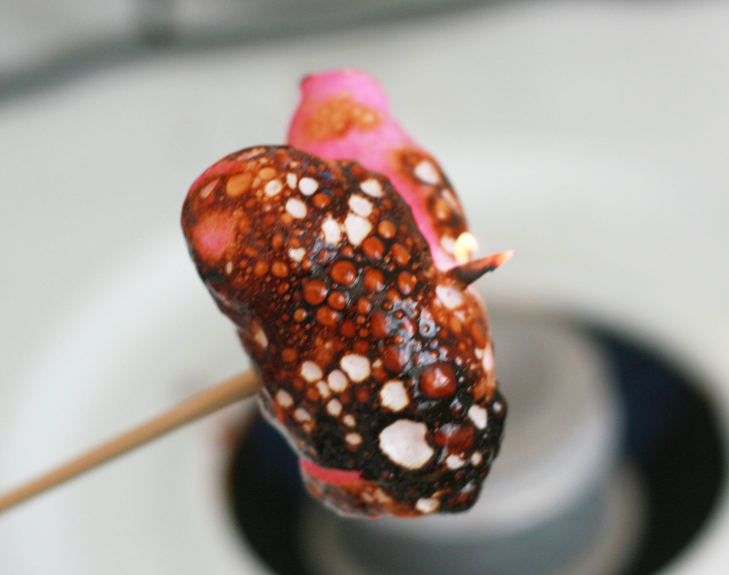 Peeps Smores : 4 Steps (with Pictures) - Instructables