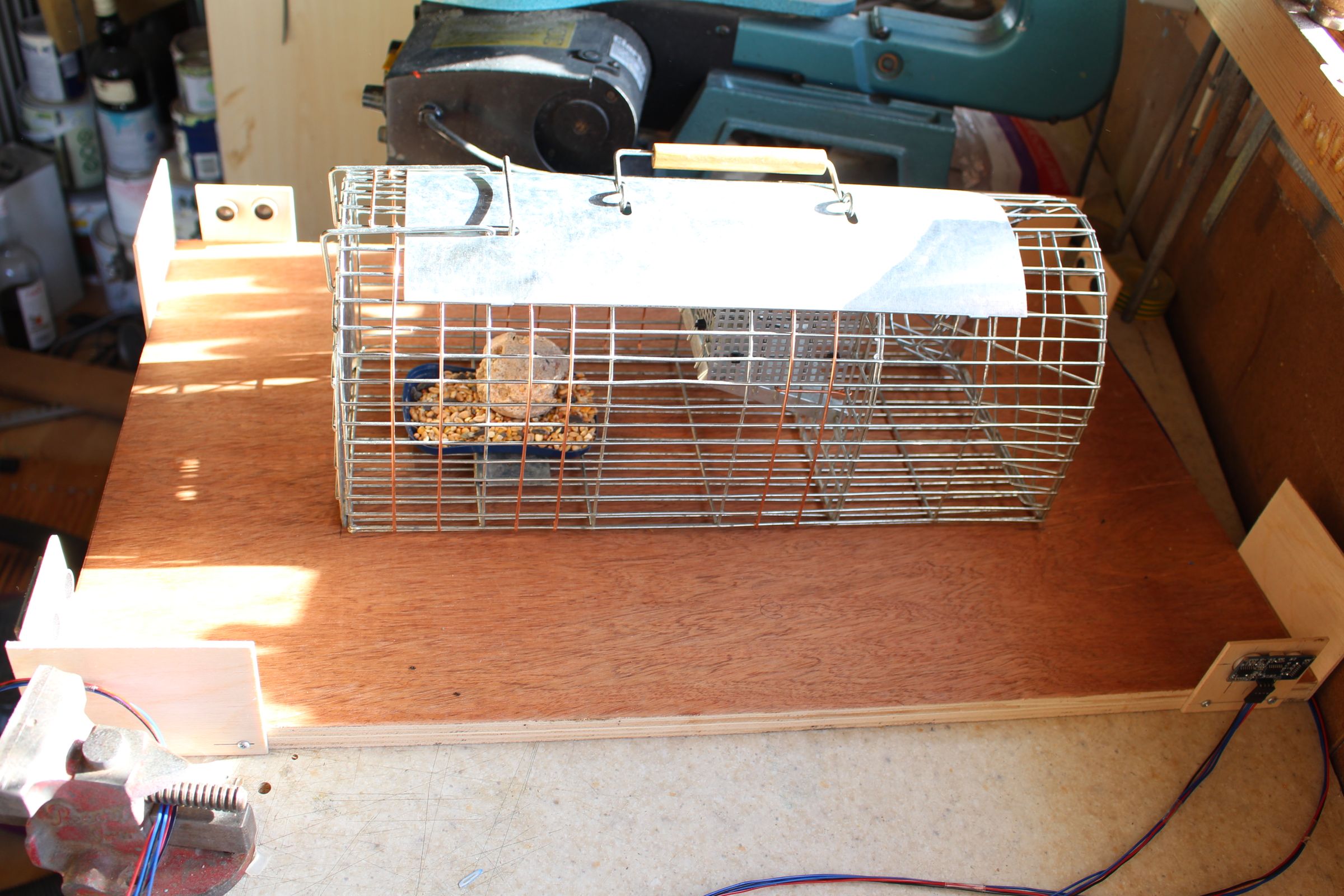 Mouse Detector Raspberry Pi Ultrasonic Sensor (with Pictures ...