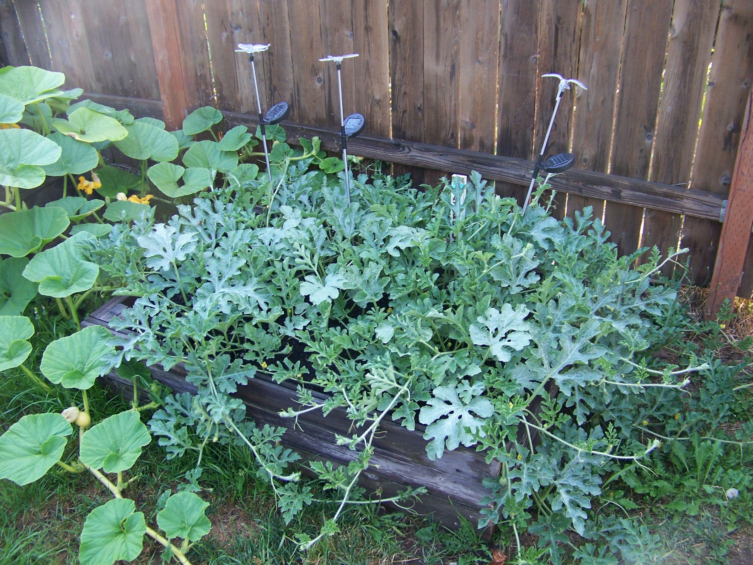 Raised Garden Beds (and More!) From Reclaimed Wood : 8 Steps (with ...