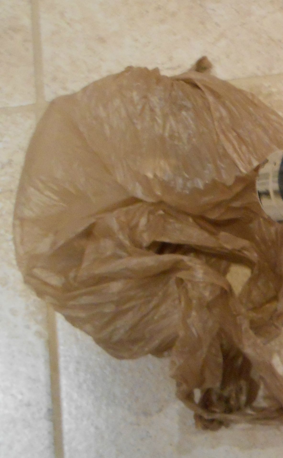 Easy Decomposed Skeleton Decor : 4 Steps - Instructables