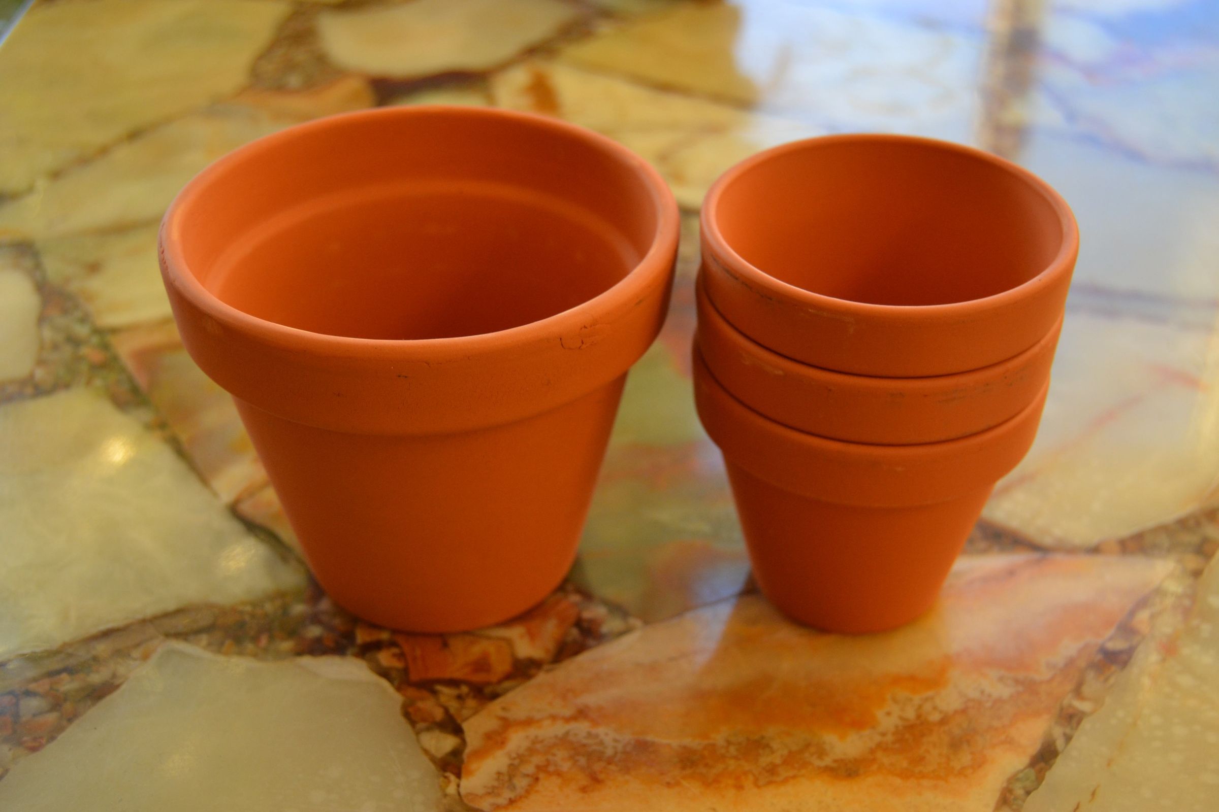 Laser Cut Planters : 7 Steps (with Pictures) - Instructables