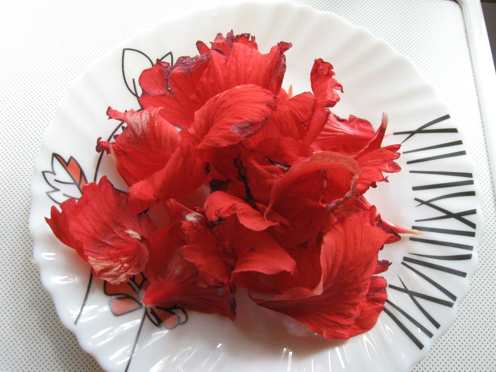 Hibiscus Tea With Fresh Flowers and Honey : 7 Steps (with Pictures ...