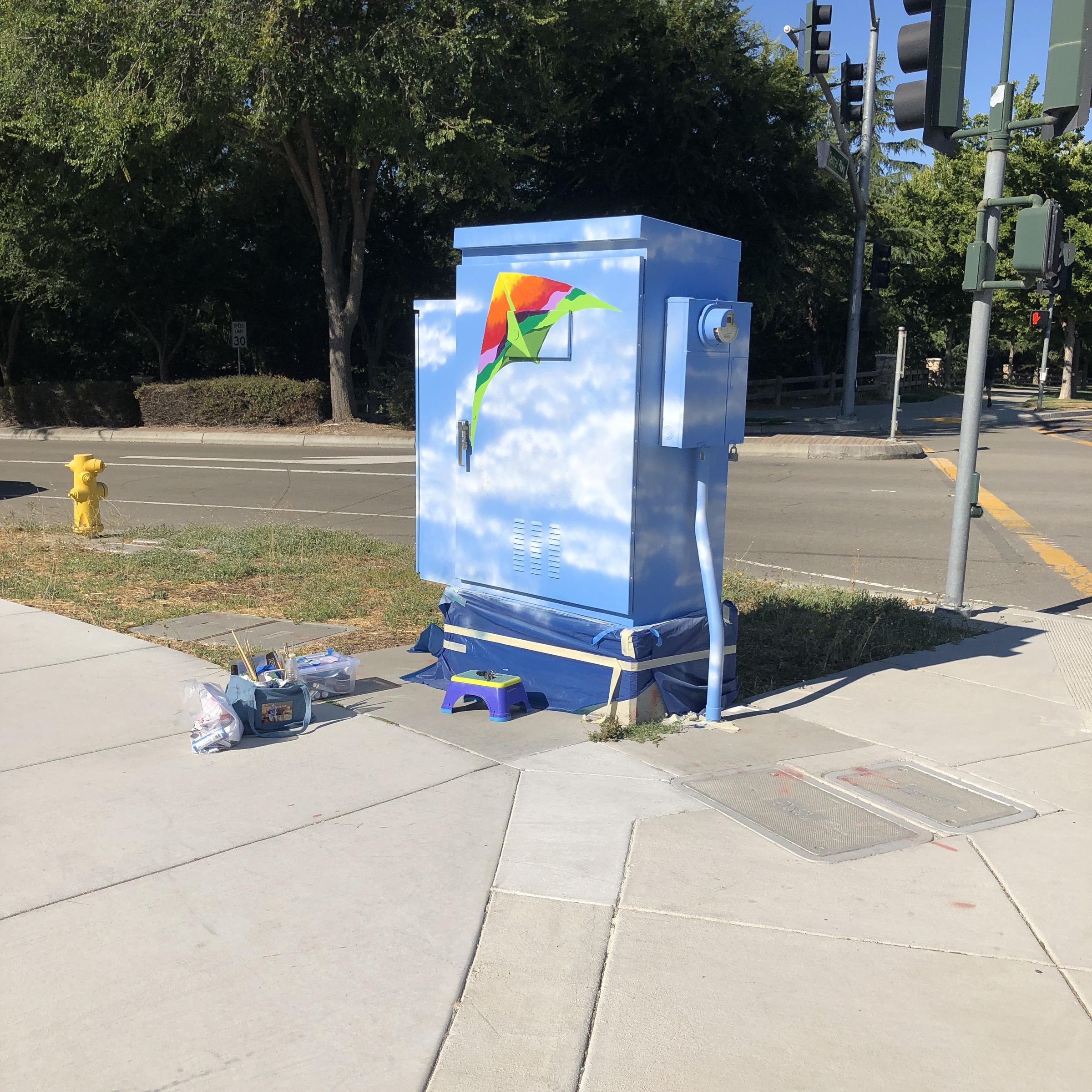 Painted Utility Box Public Art/Mural : 28 Steps (with Pictures ...