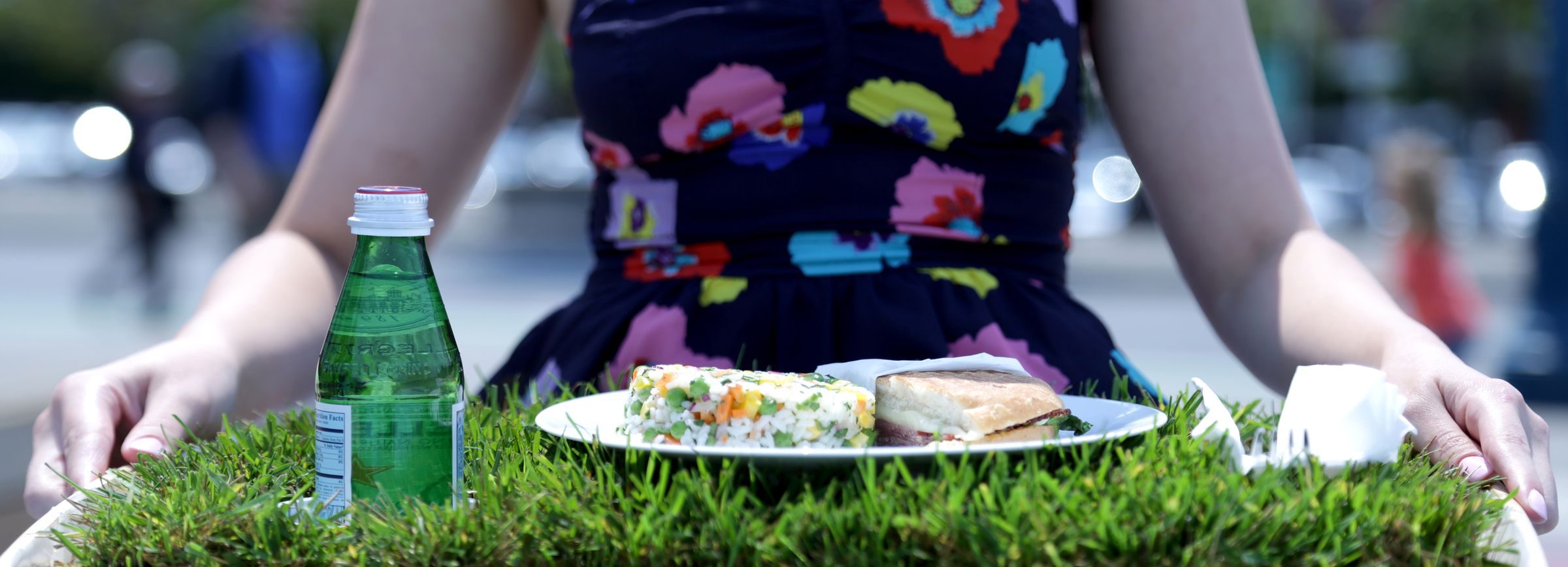 Grass Lunch Tray : 9 Steps (with Pictures) - Instructables