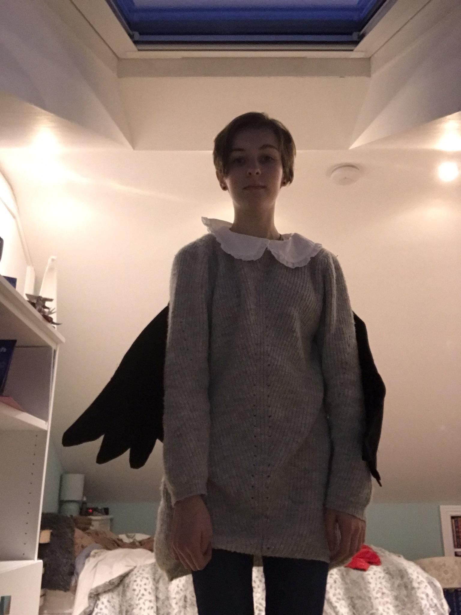 Easy Cosplay Wings : 5 Steps (with Pictures) - Instructables