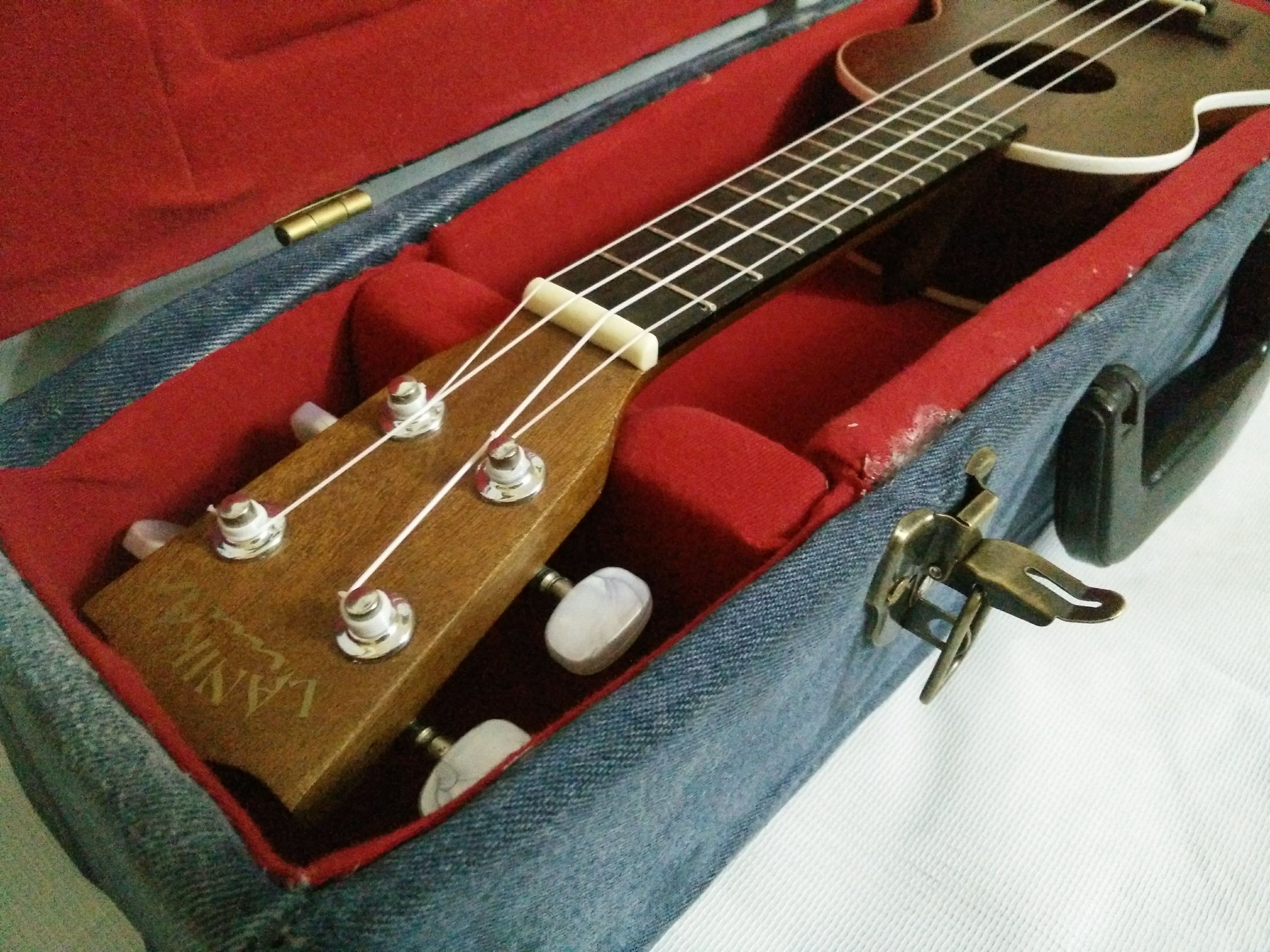 The Cardboard Ukulele Case : 10 Steps (with Pictures) - Instructables