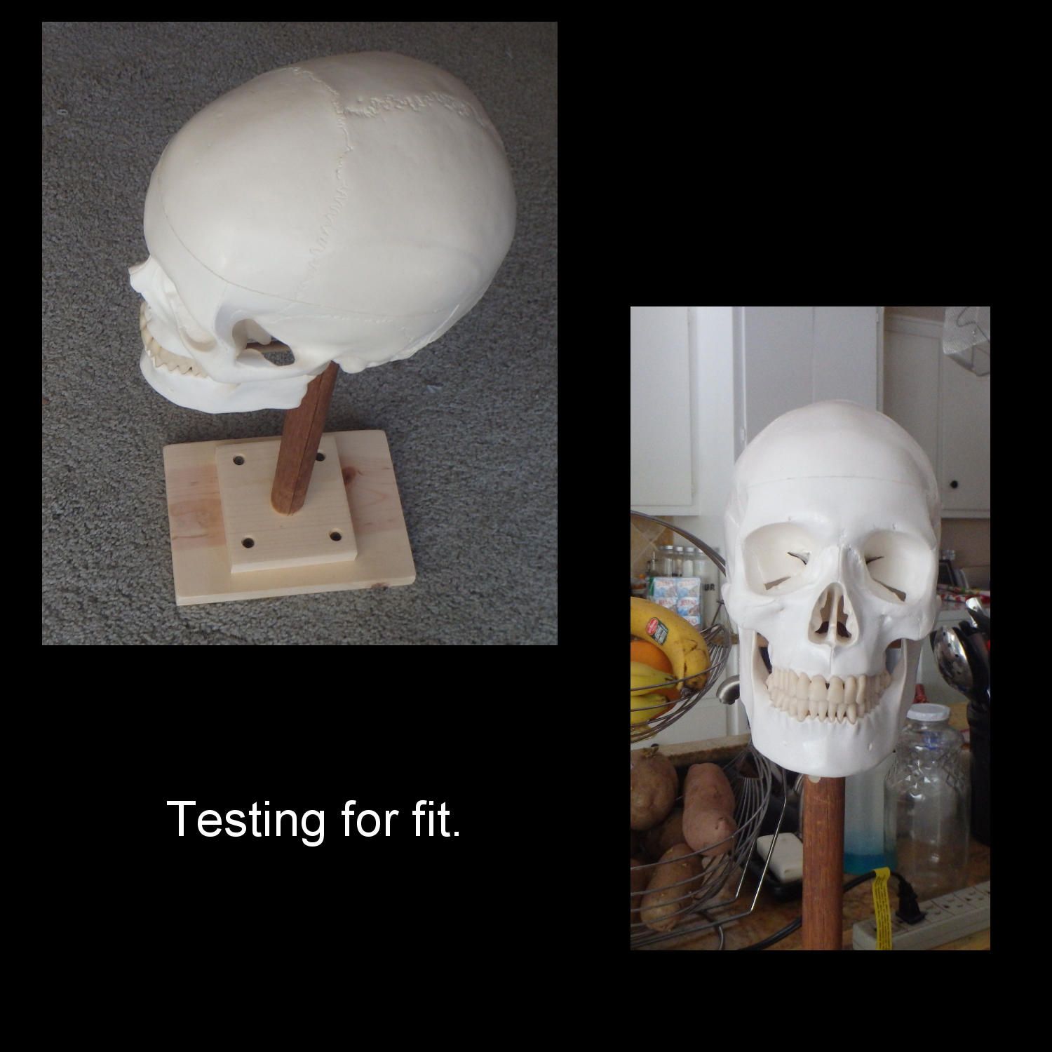 SKULL STAND(S) FOR BUDDING ARTISTS : 7 Steps (with Pictures ...
