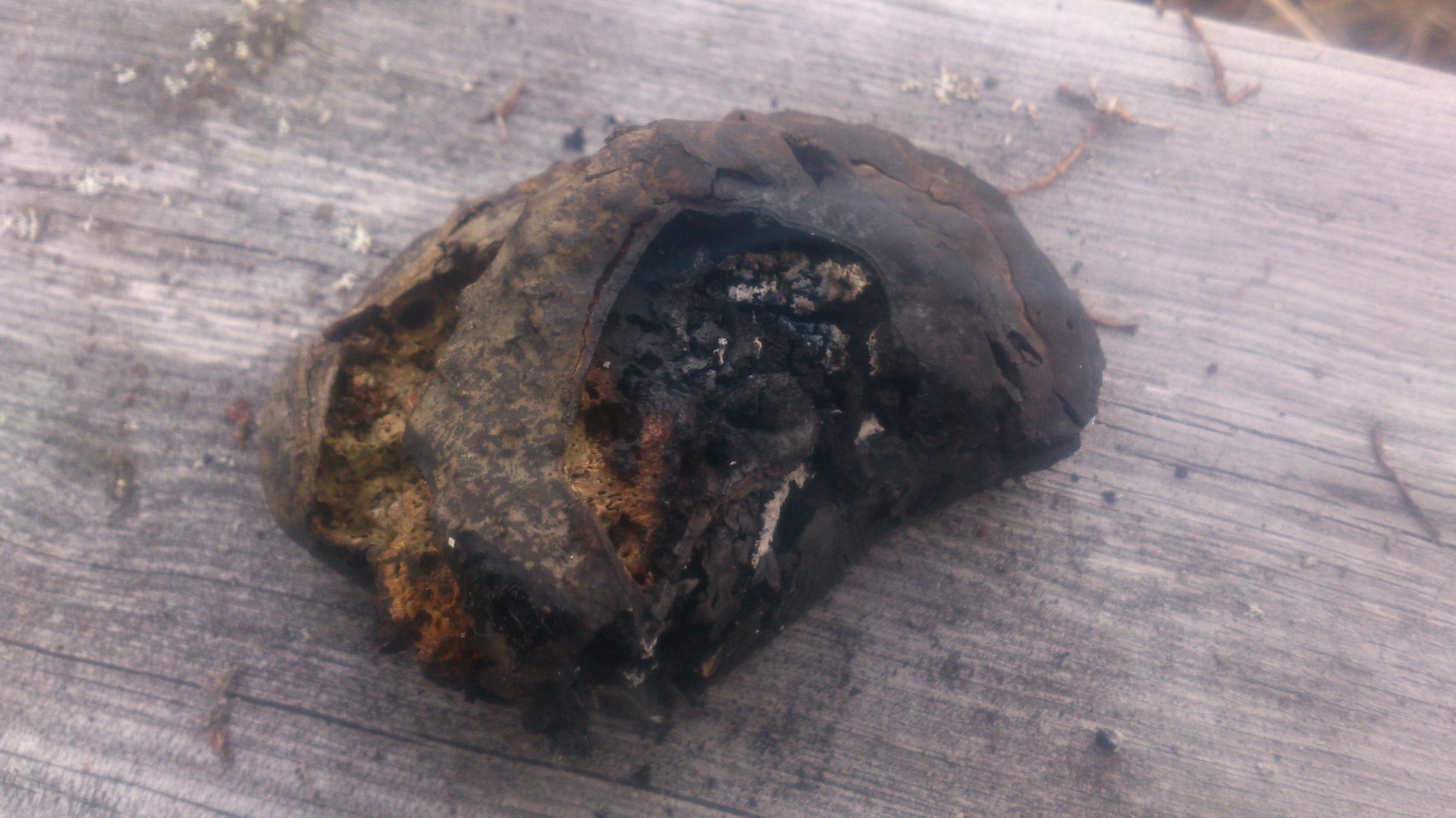 How to Carry Embers : 5 Steps (with Pictures) - Instructables