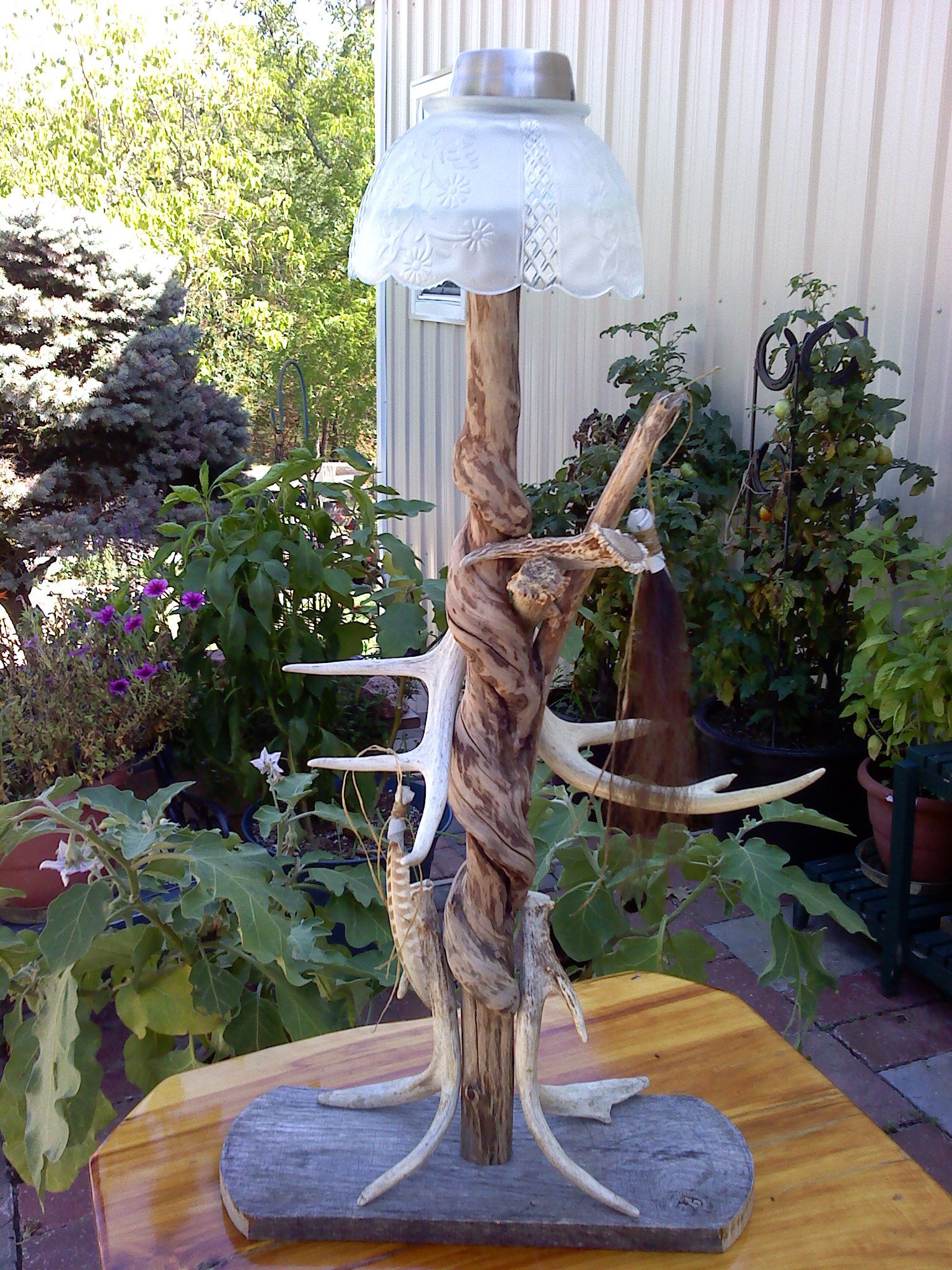 DIY Solar Lamp With Help of Mother Nature & CABOT WoodCare Products : 4 ...