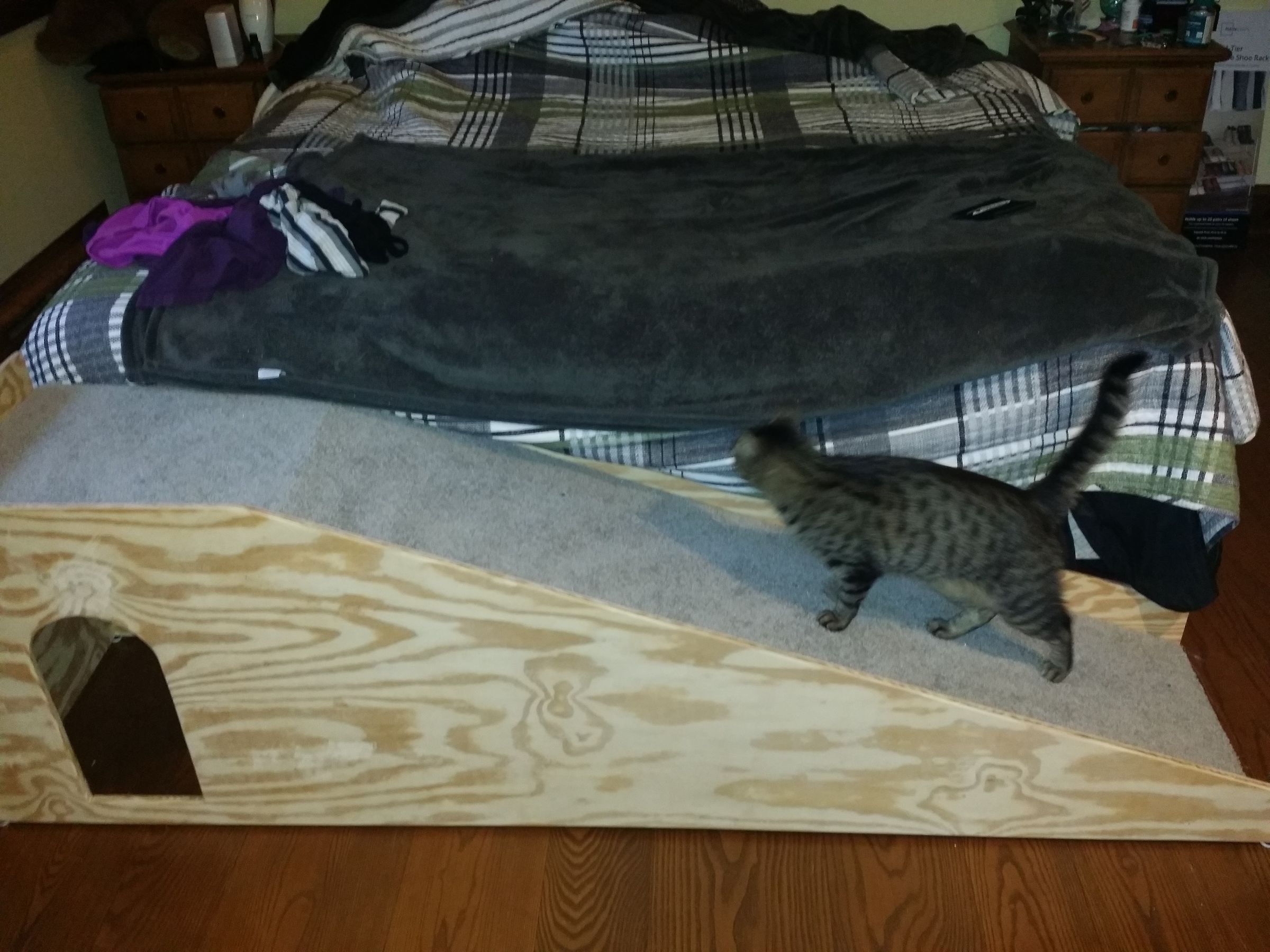 Basic Bed Ramp for a Small\older Dog : 9 Steps (with Pictures ...