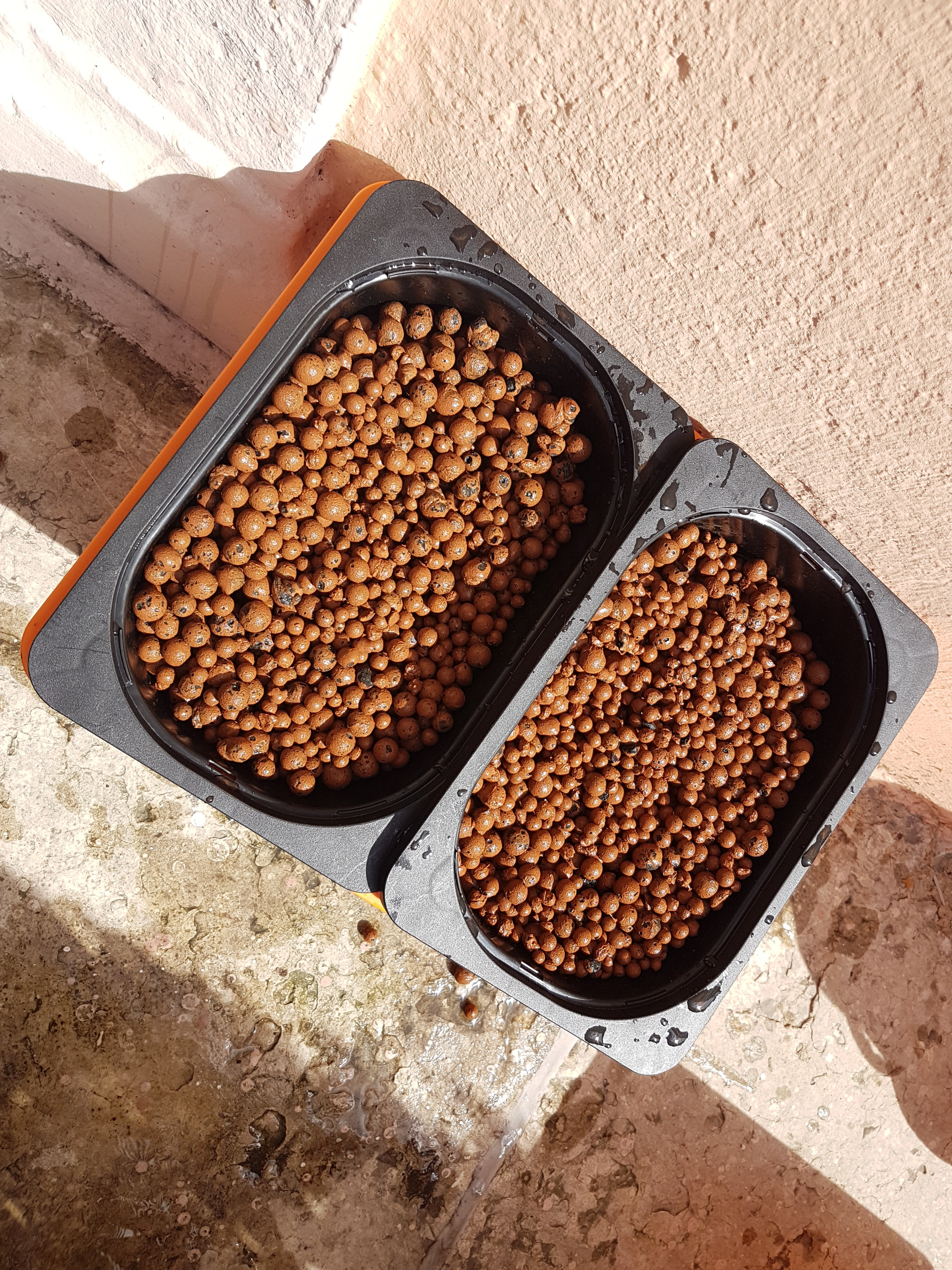 First Timer Hydroponics: DWC System : 9 Steps (with Pictures ...