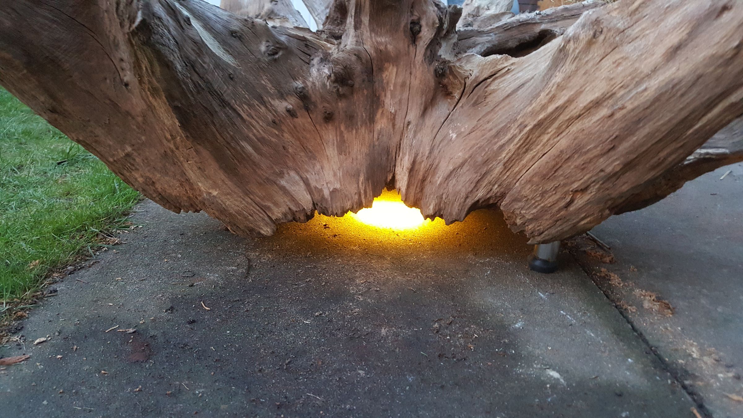 Tree Root Table With Custom Glass Top and Underlight : 10 Steps (with ...