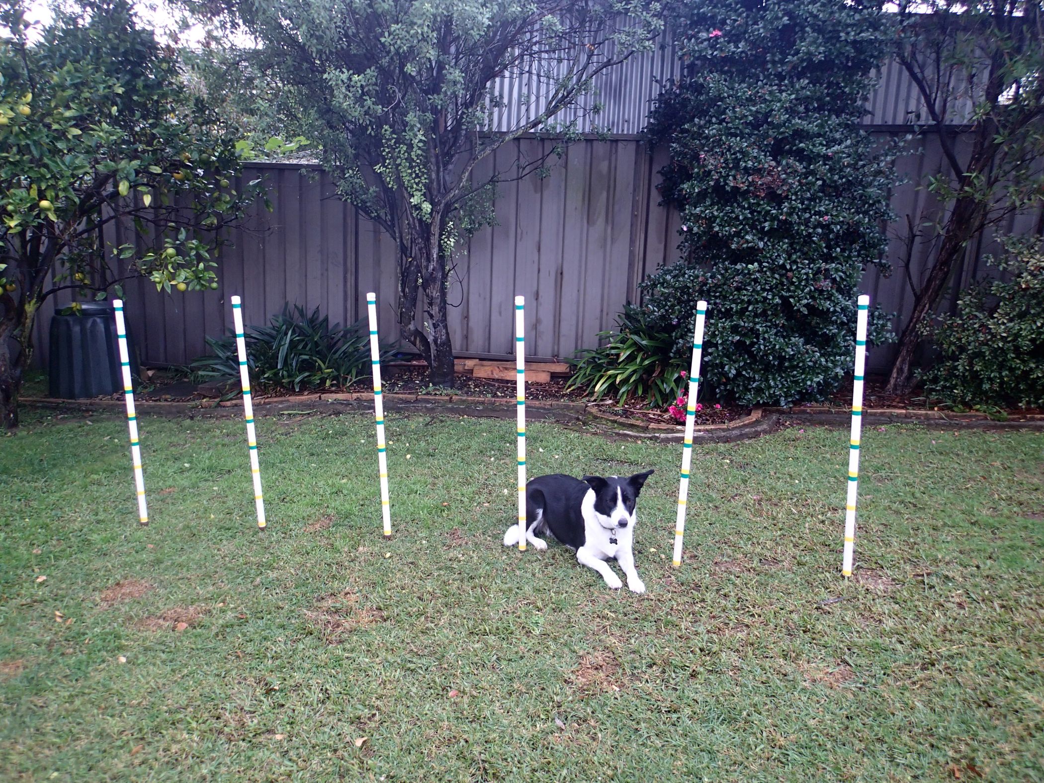 Instant Weave Poles! : 4 Steps (with Pictures) - Instructables