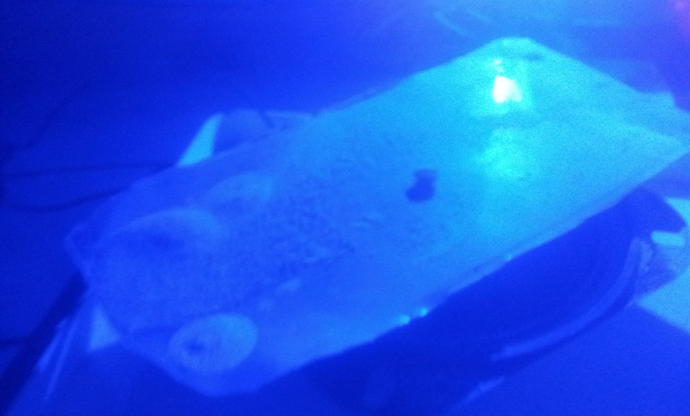 Wiggly Wobbly - See the Sound Waves !! Real Time Audio Visualizer ...