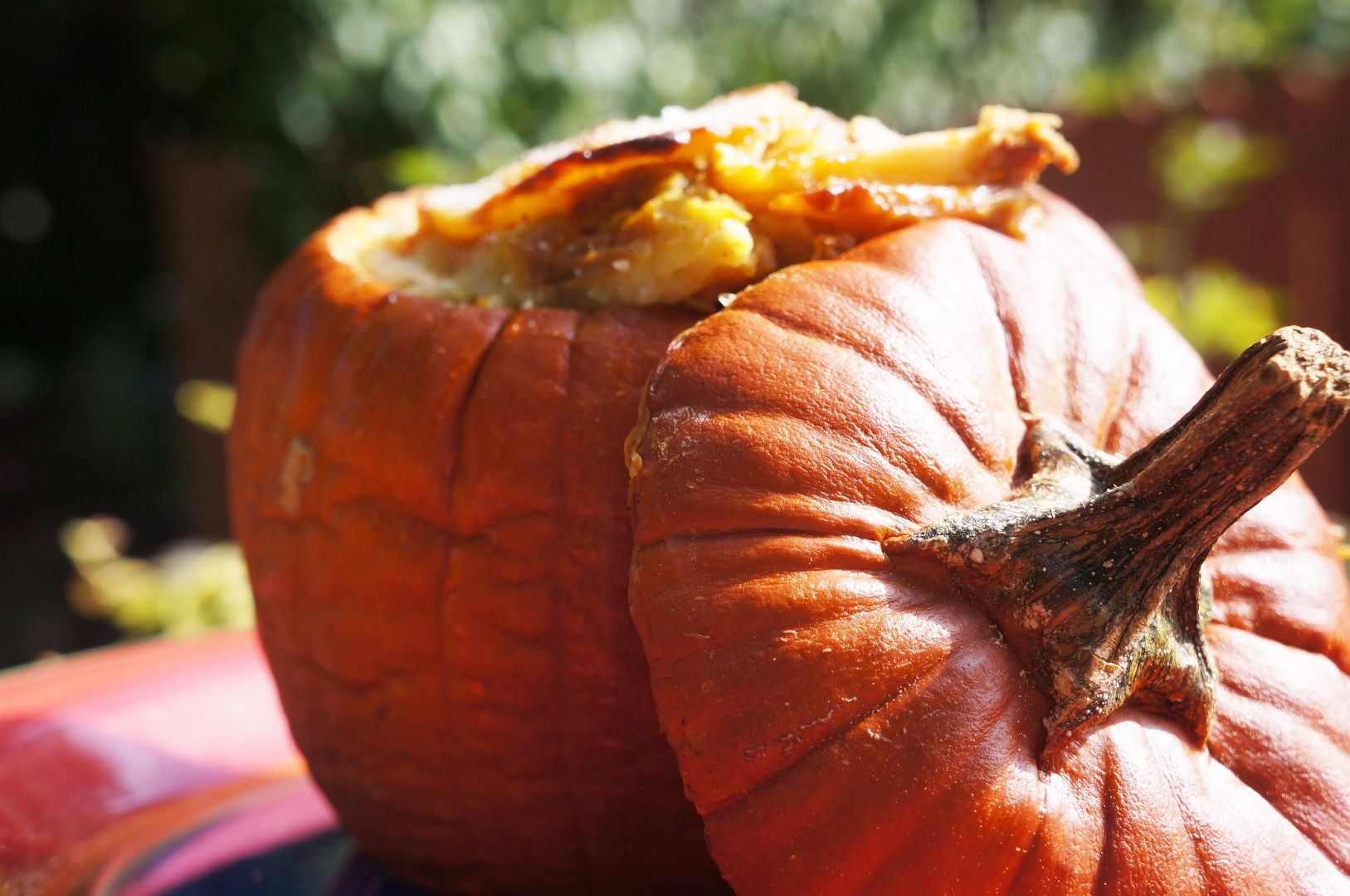 Pumpkin Pie Baked in a Pumpkin : 8 Steps (with Pictures) - Instructables