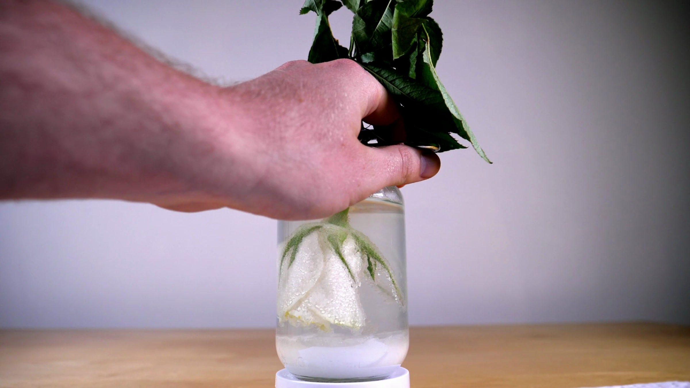 Flower Crystallization : 8 Steps (with Pictures) - Instructables