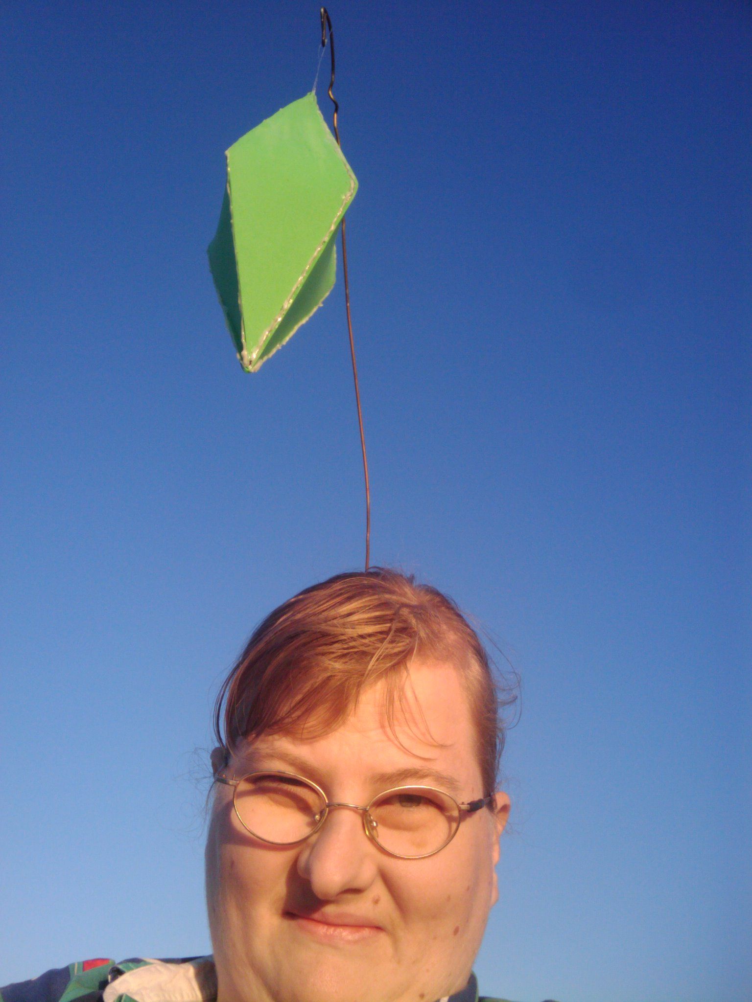 How to Be a Sim : 7 Steps - Instructables