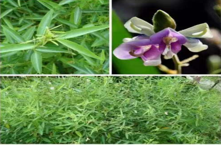 Simulating the Movement of Dancing Grass : 7 Steps - Instructables